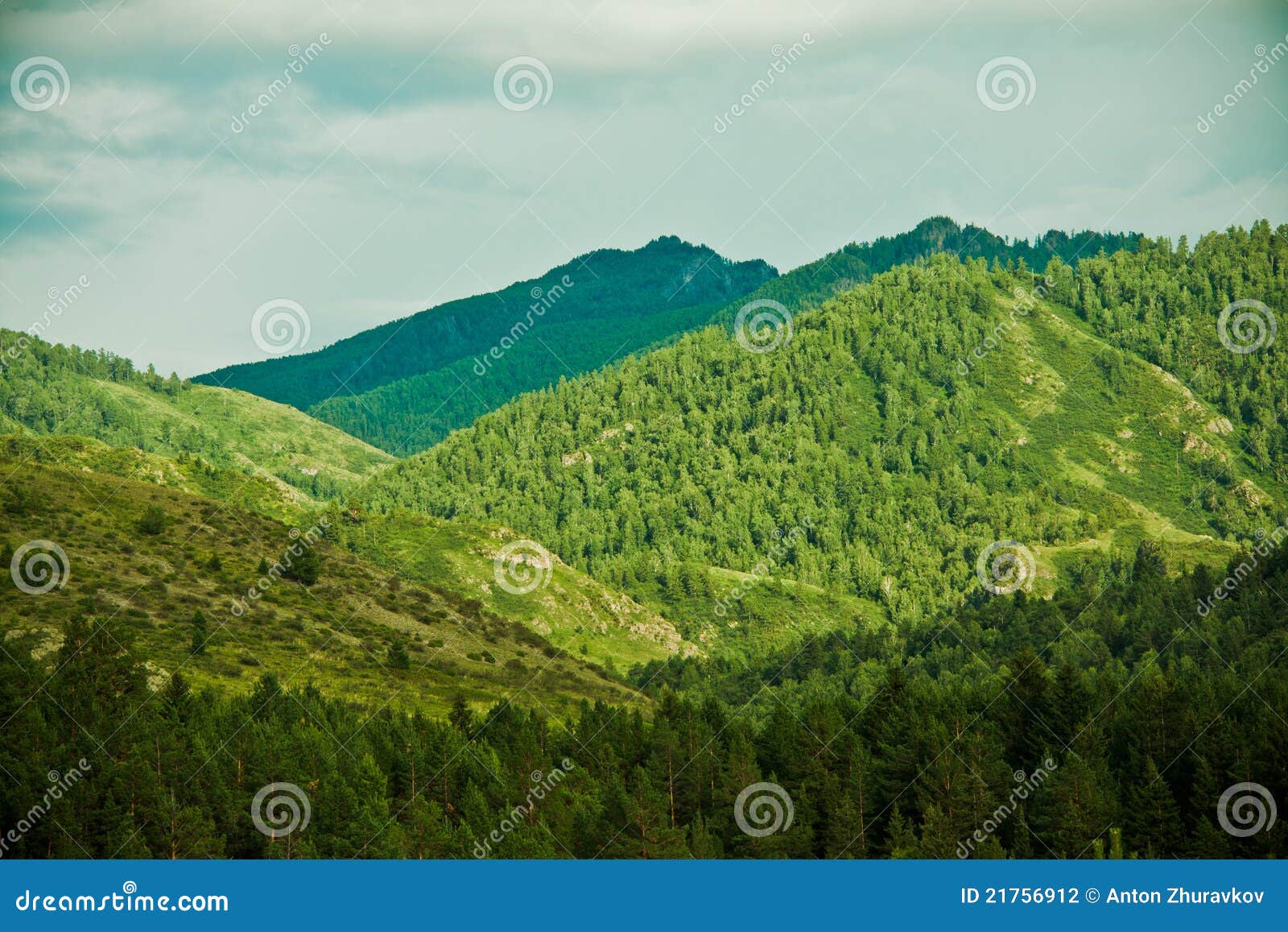 River Katun stock photo. Image of landscape, horizon - 21756912