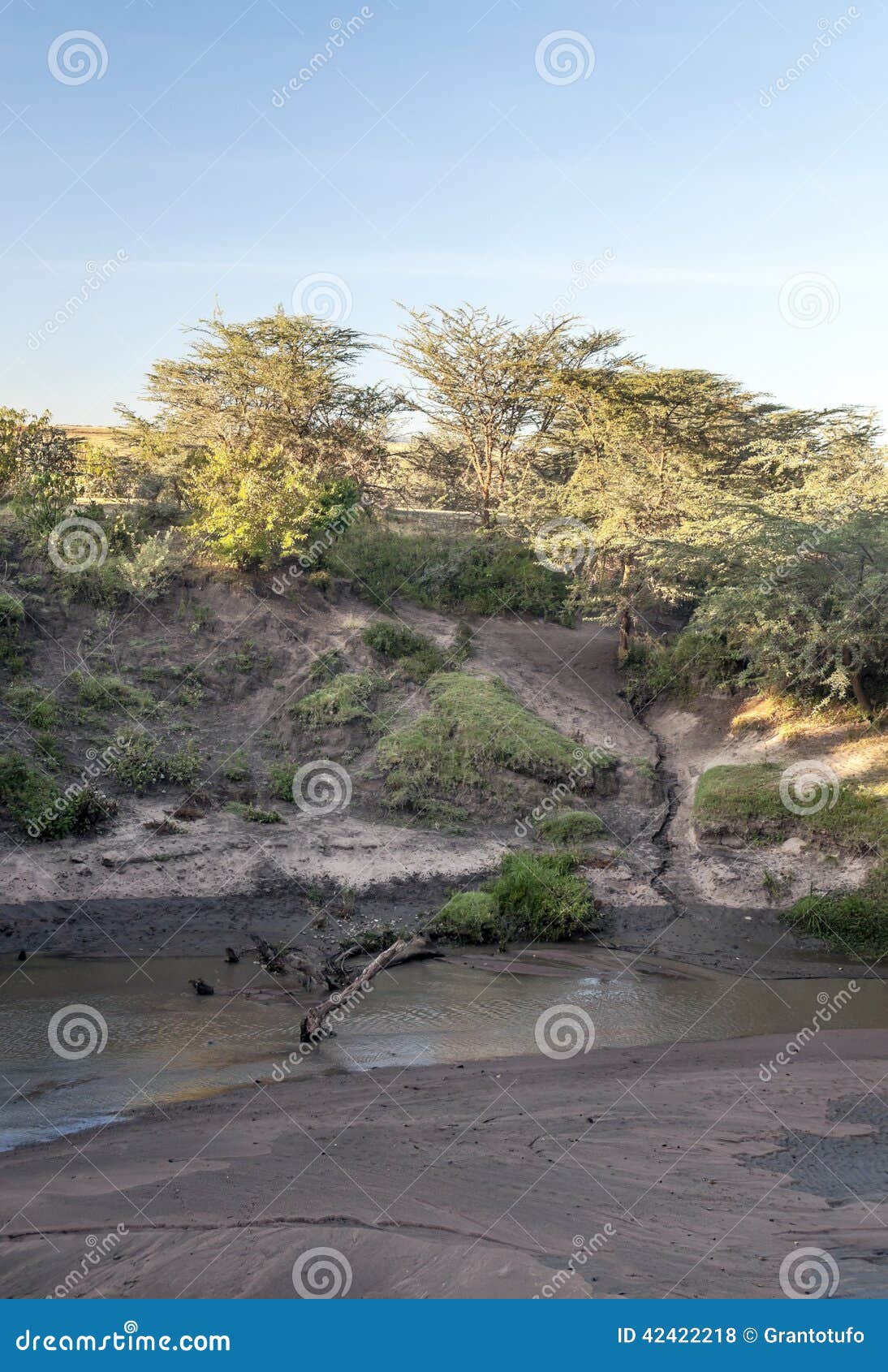 River of kenia stock photo. Image of vert, water, tropical - 42422218