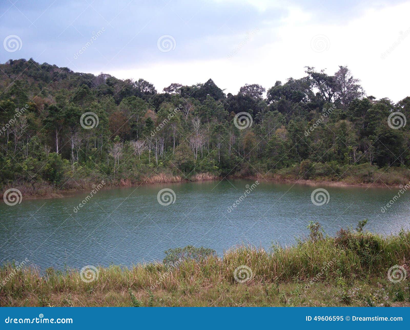 River within Khao Yai National Park Stock Image - Image of watercourse ...