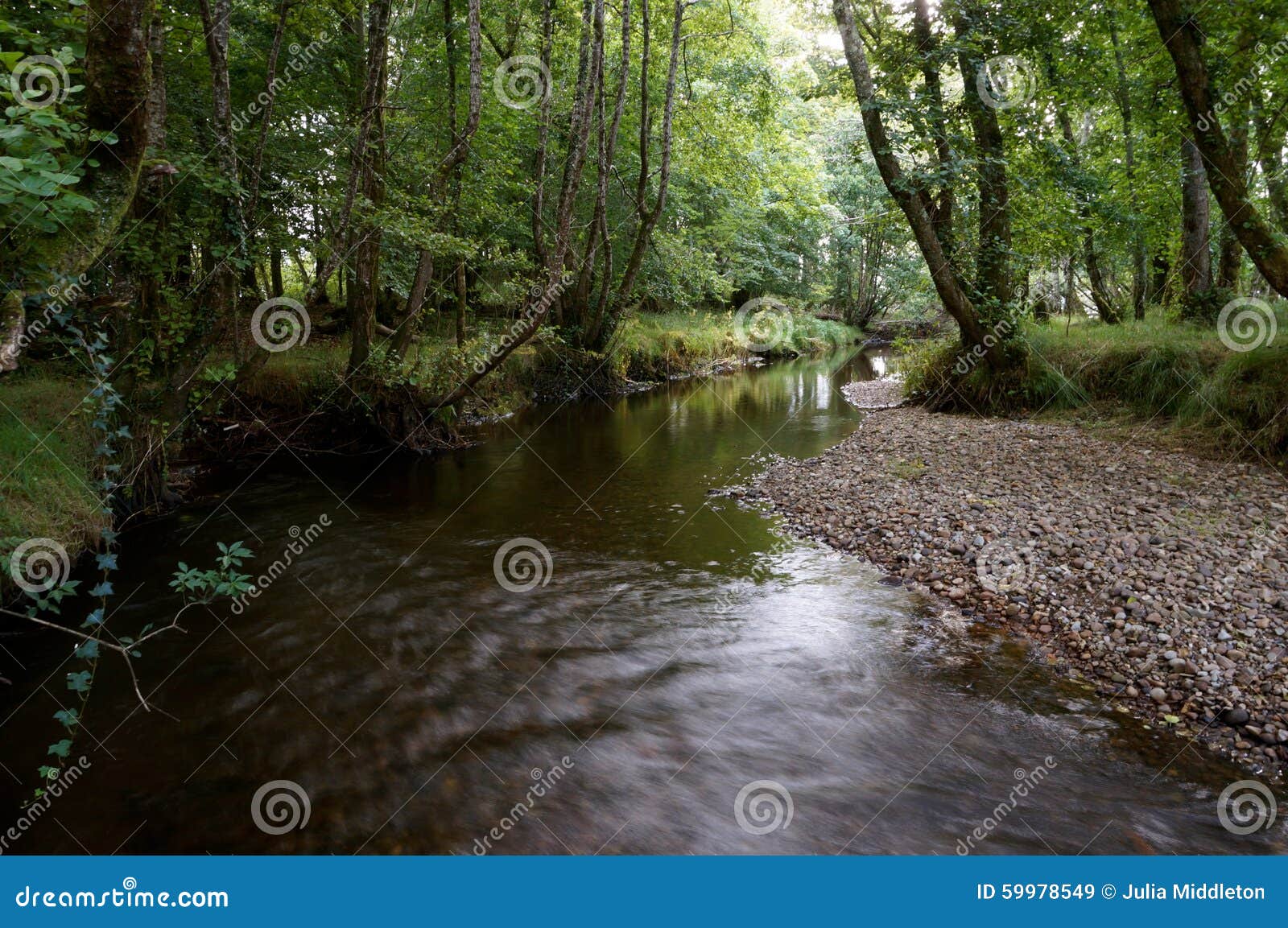 River in Killarney stock image. Image of river, ireland - 59978549