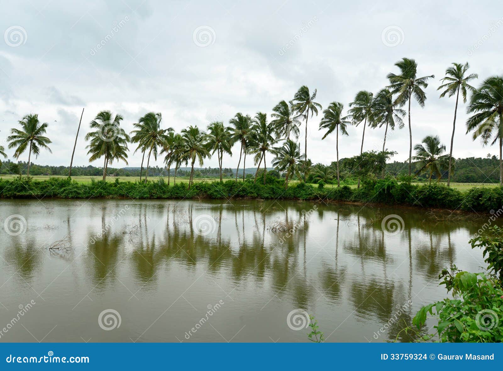 1,535 Konkan Photos - Free & Royalty-Free Stock Photos from Dreamstime