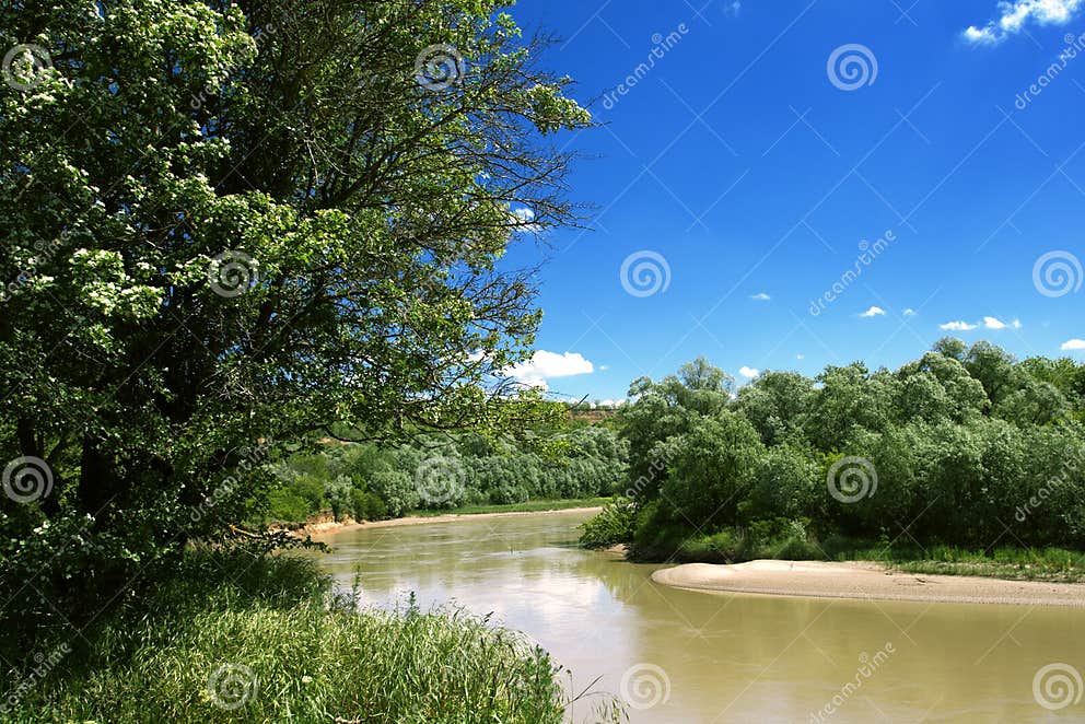 River Kuban stock photo. Image of plants, russia, outdoors - 5382238