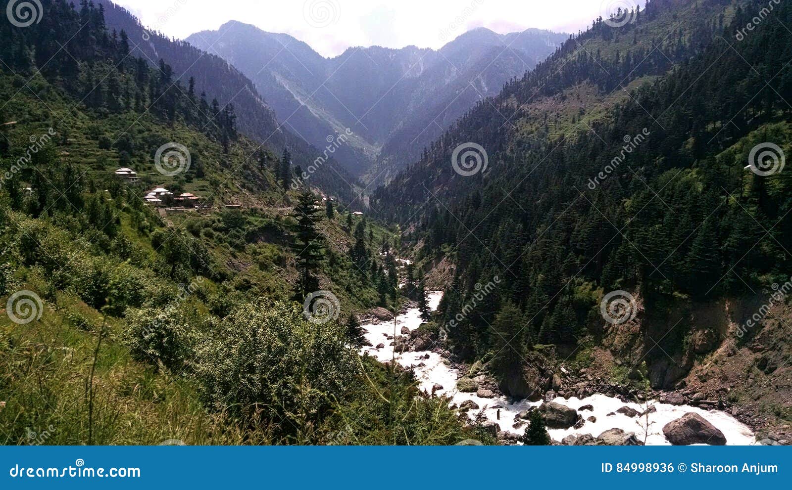 A River stock photo. Image of kunhar, trees, pakistan - 84998936