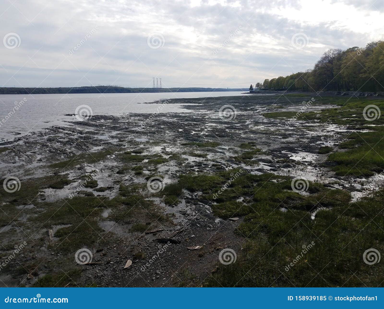 River with Mud and Rocks and Grass on Shore Stock Image - Image of ...