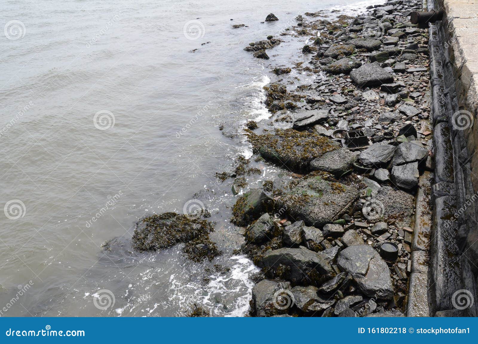 River or Lake Water and Rocks on Shore with Algae Stock Photo - Image ...