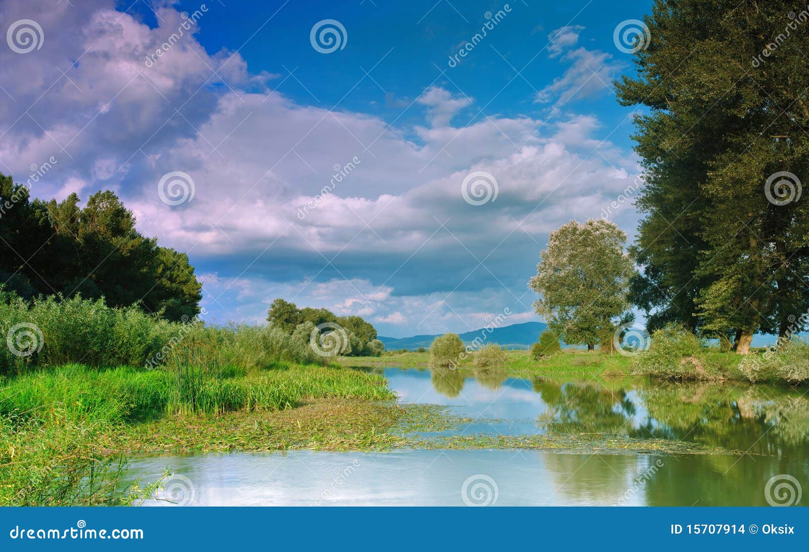 River landscape stock photo. Image of cloud, environment - 15707914