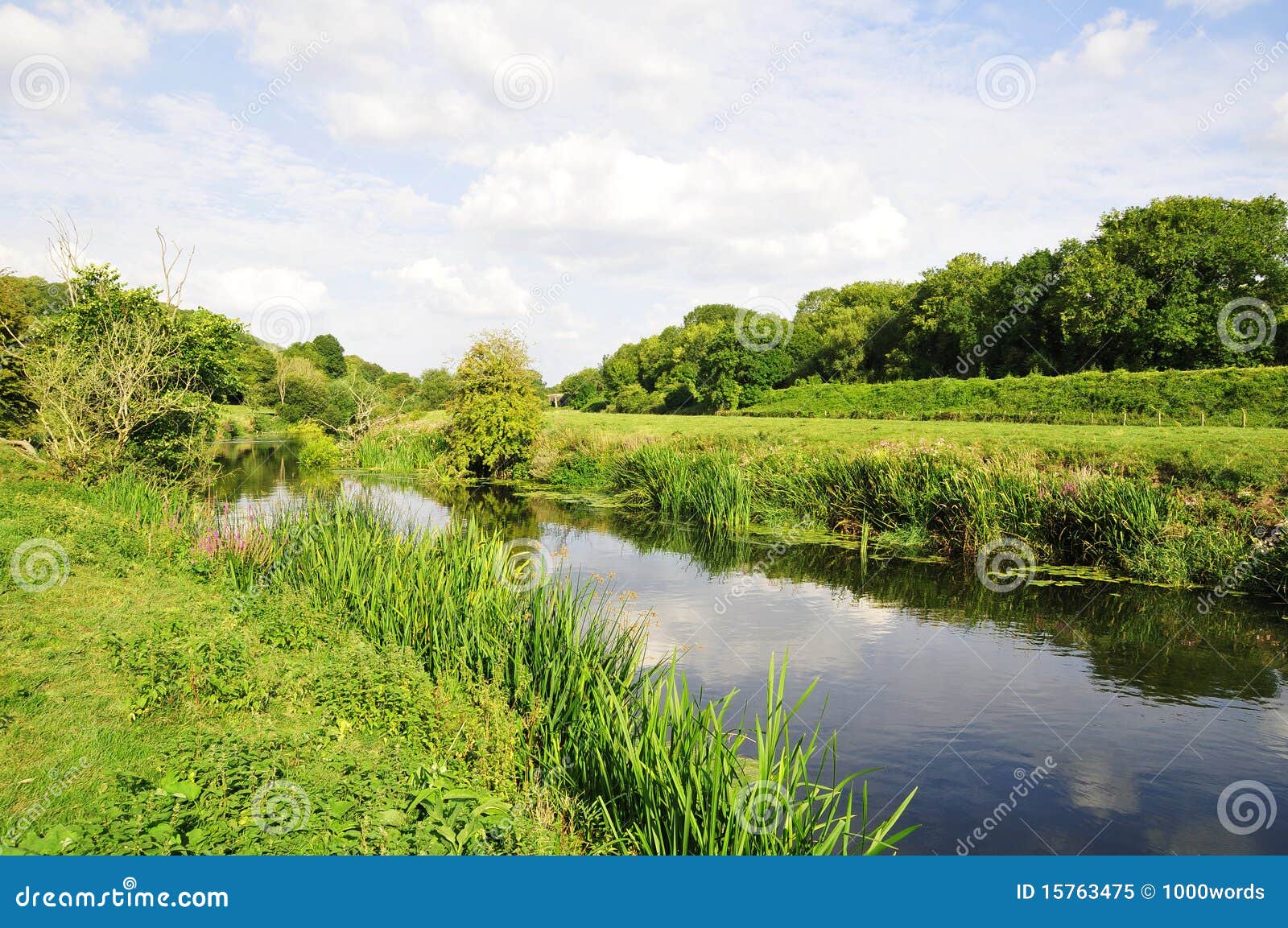 River Landscape stock image. Image of farmland, country - 15763475