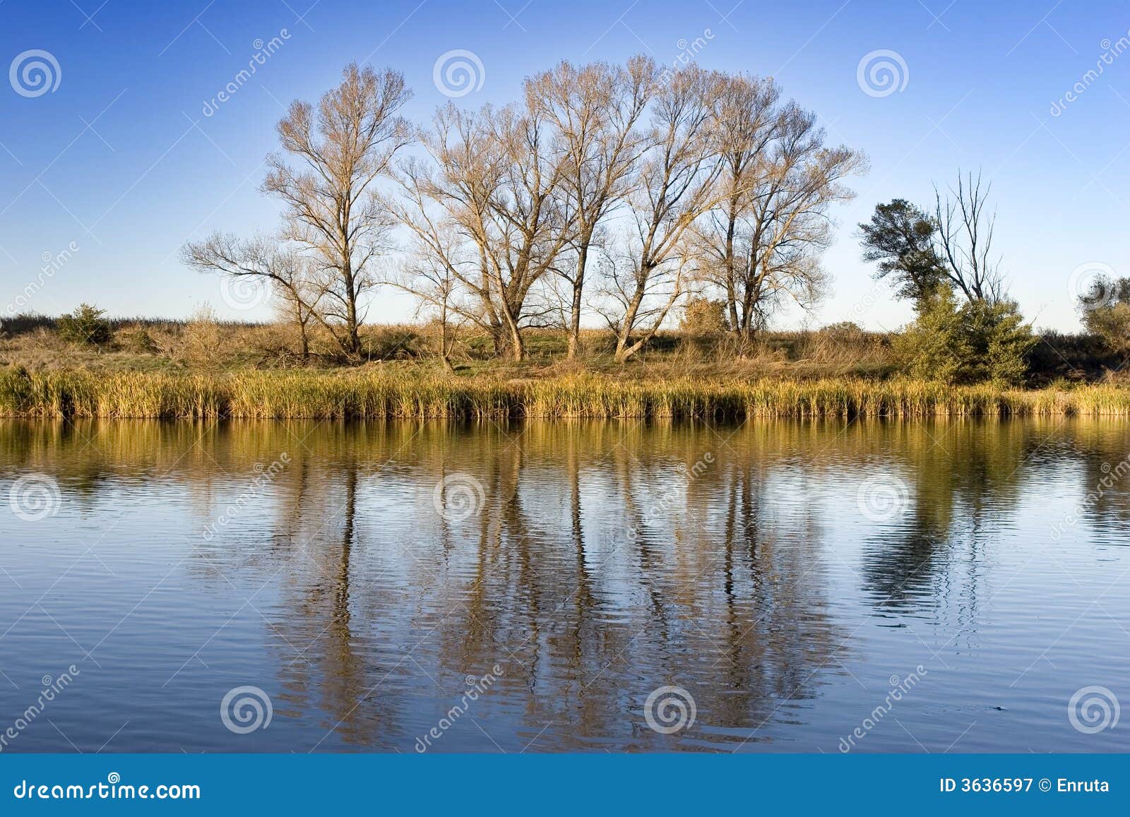 River landscape stock image. Image of field, calm, environment - 3636597