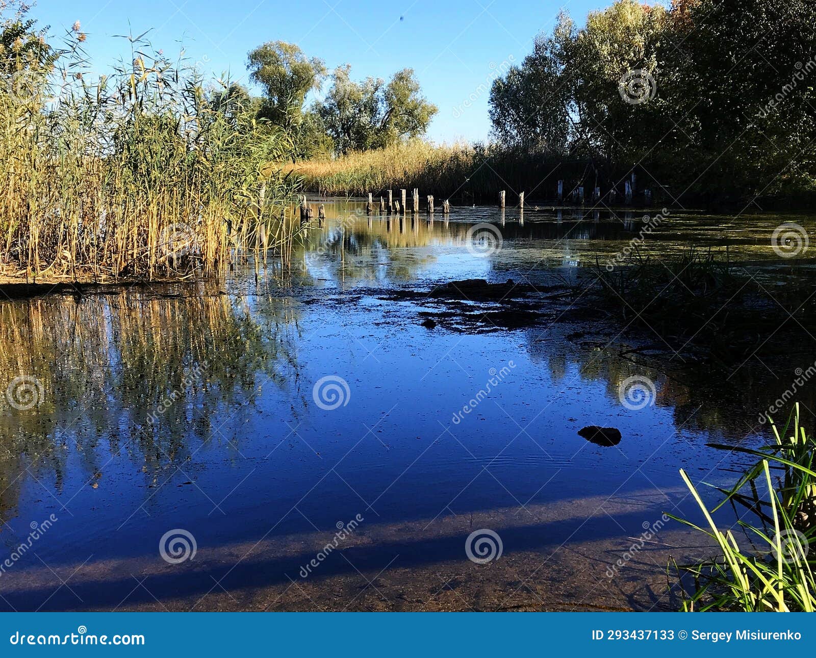 River Landscape in Autumn with Reflection of Trees Stock Image - Image ...