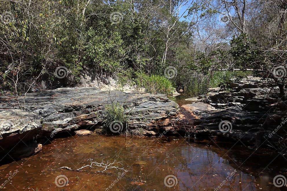 River Landscape of Caatinga in Brazil Stock Image - Image of south ...