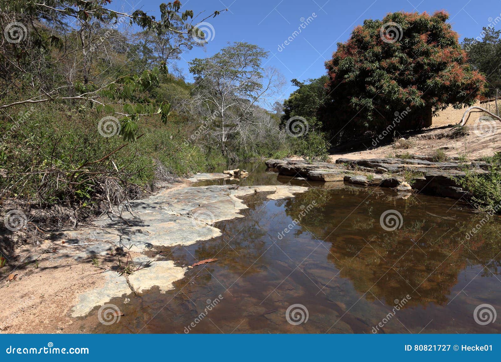 River Landscape of Caatinga in Brazil Stock Image - Image of stream ...