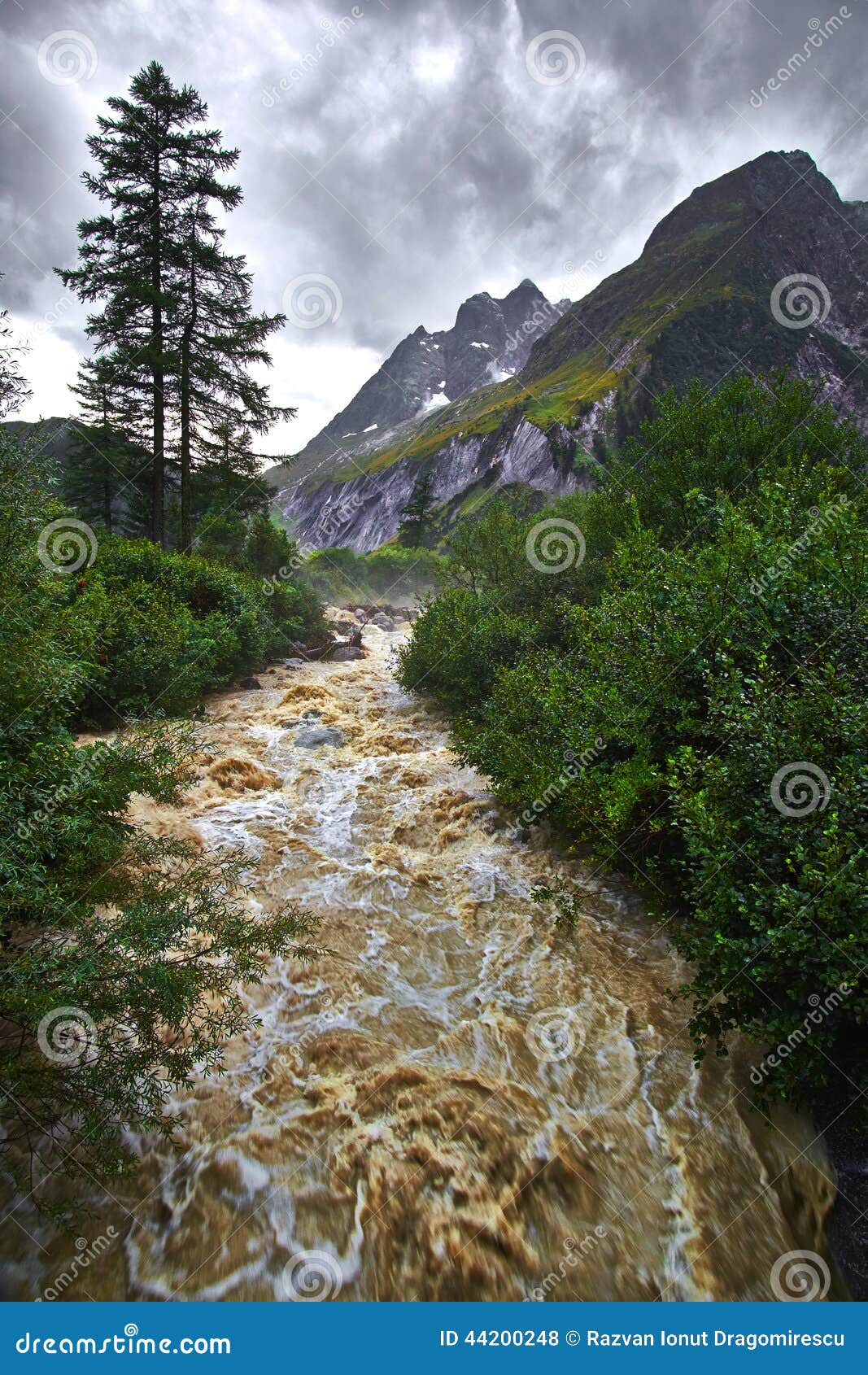 River Landscape stock photo. Image of foliage, cliff - 44200248