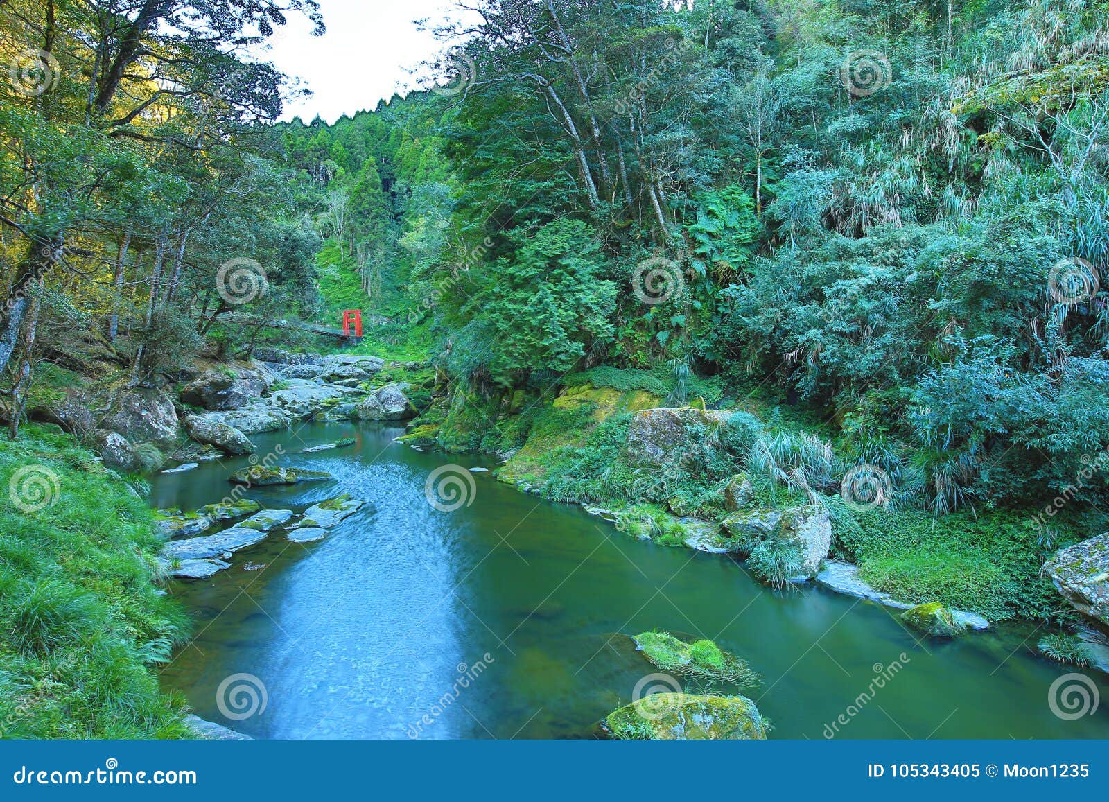 River Landscape with Rocks and Trees Stock Image - Image of rural ...