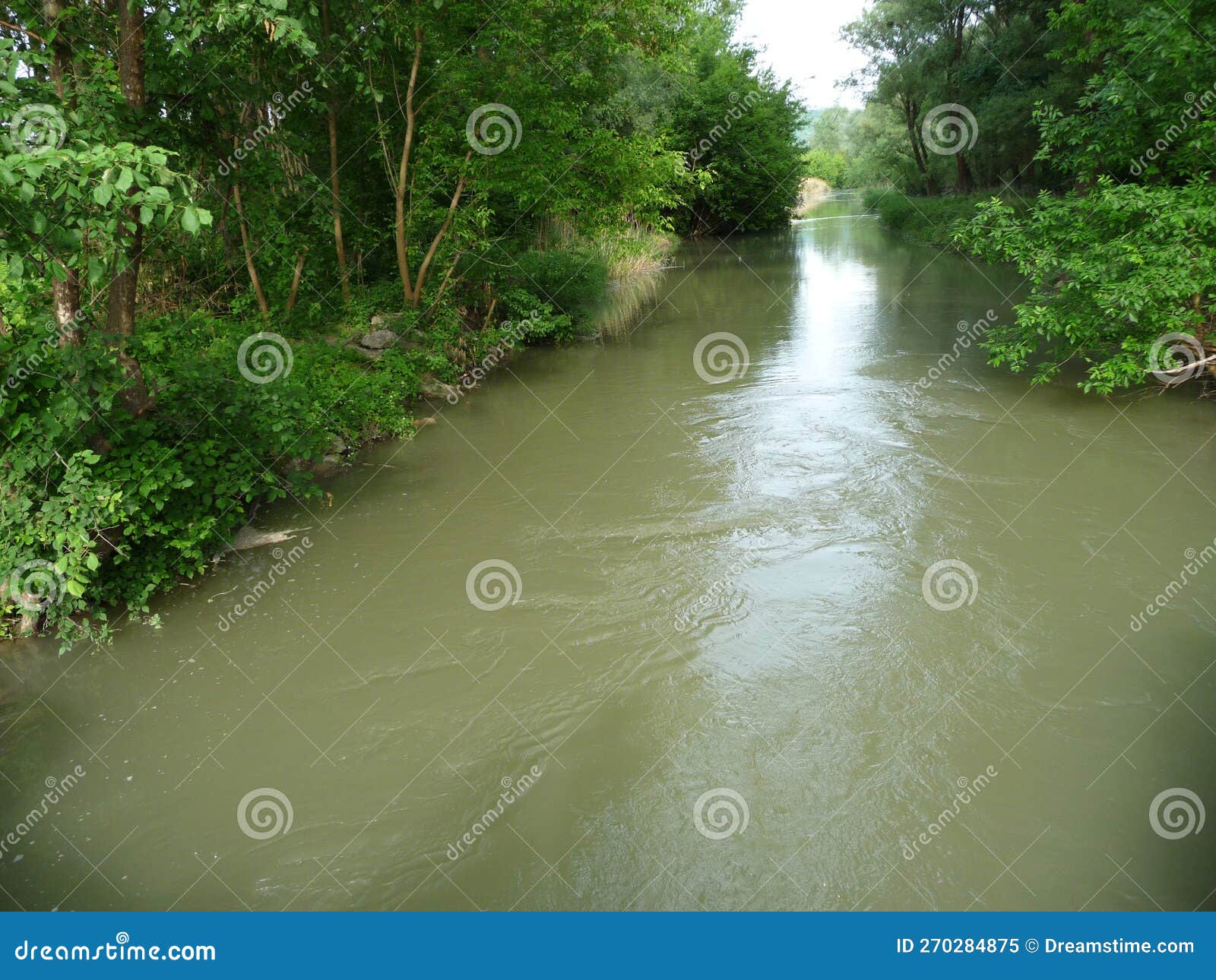 River landscape stock image. Image of muddy, water, alluvial - 270284875