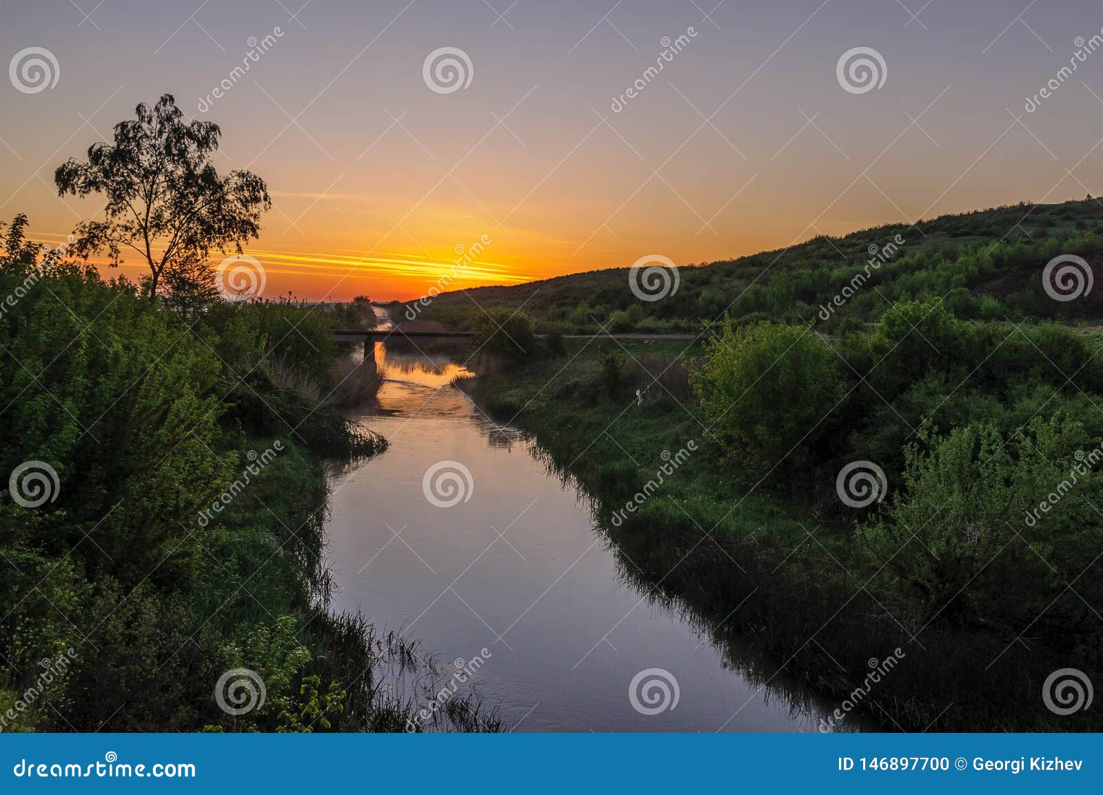 River landscape with tree stock photo. Image of trees - 146897700