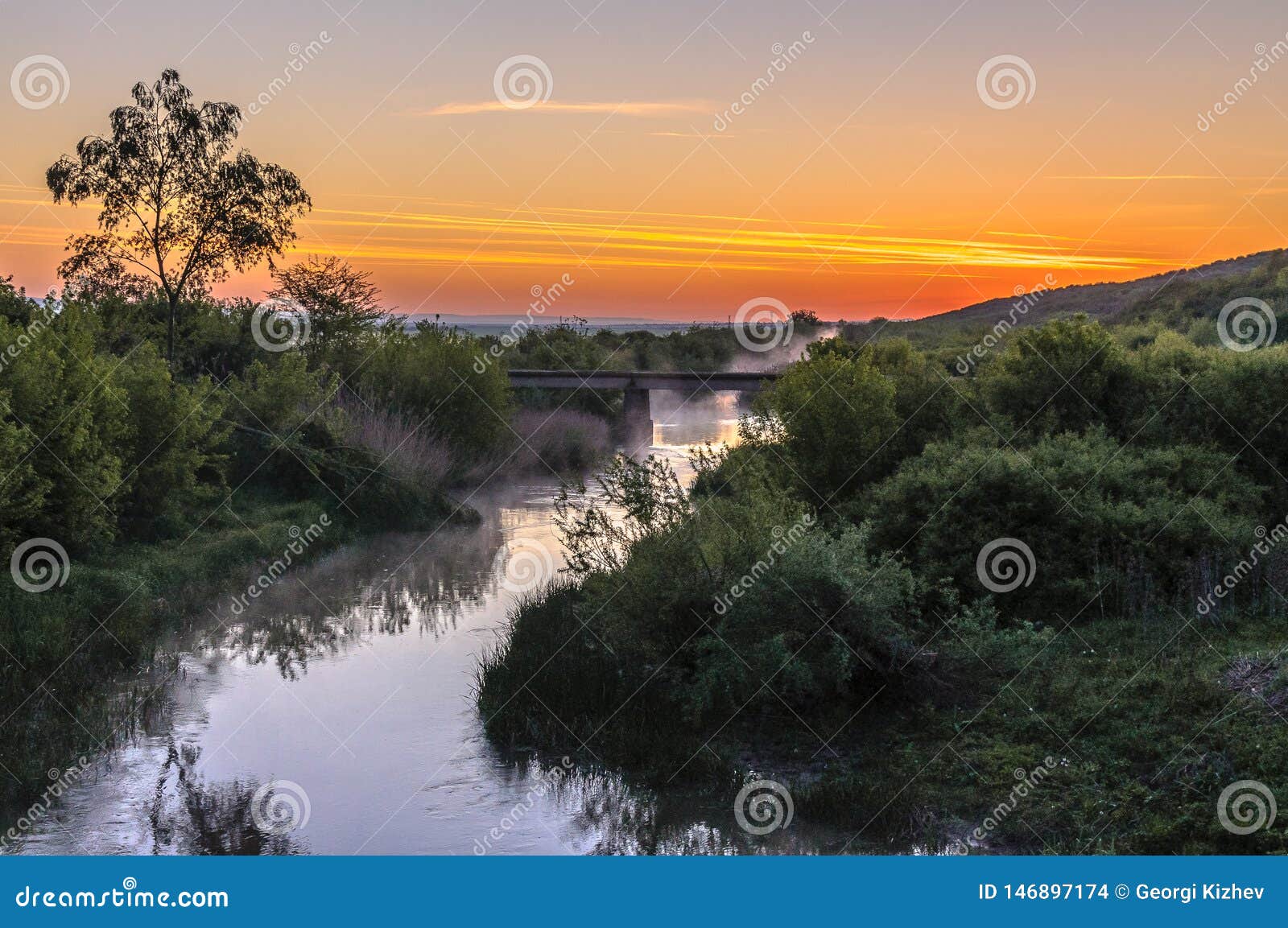 River landscape with trees stock photo. Image of natural - 146897174