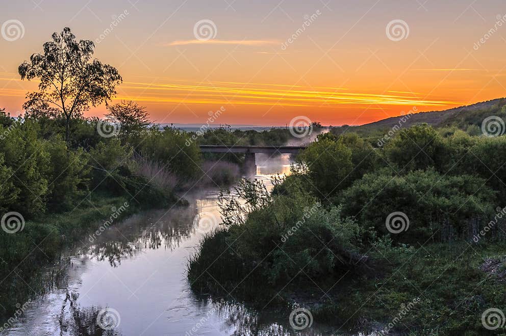 River landscape with trees stock photo. Image of natural - 146897174