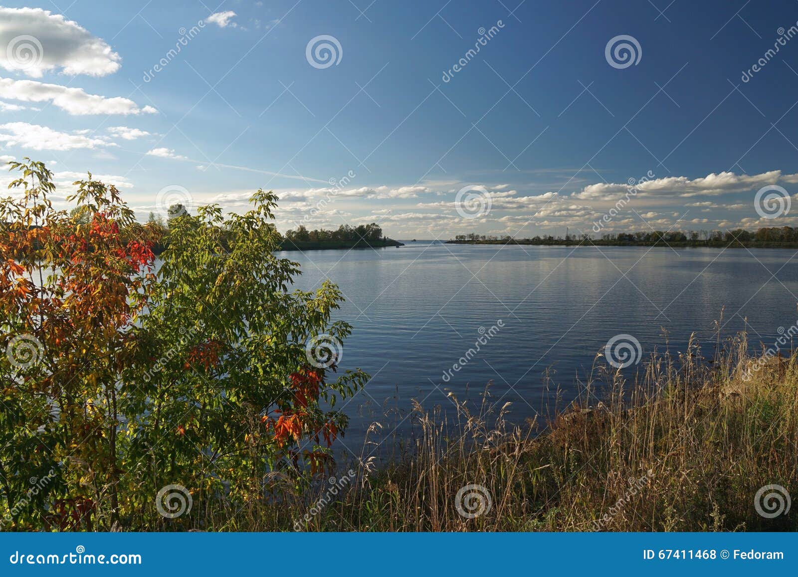 River stock photo. Image of natural, beauty, forest, nature - 67411468