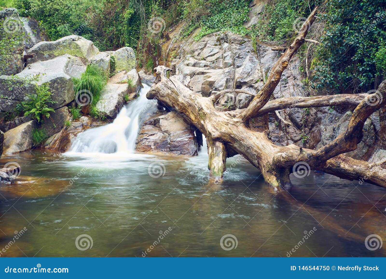 River Landscape with Waterfall and a Fallen Tree Trunk Inside the Water ...