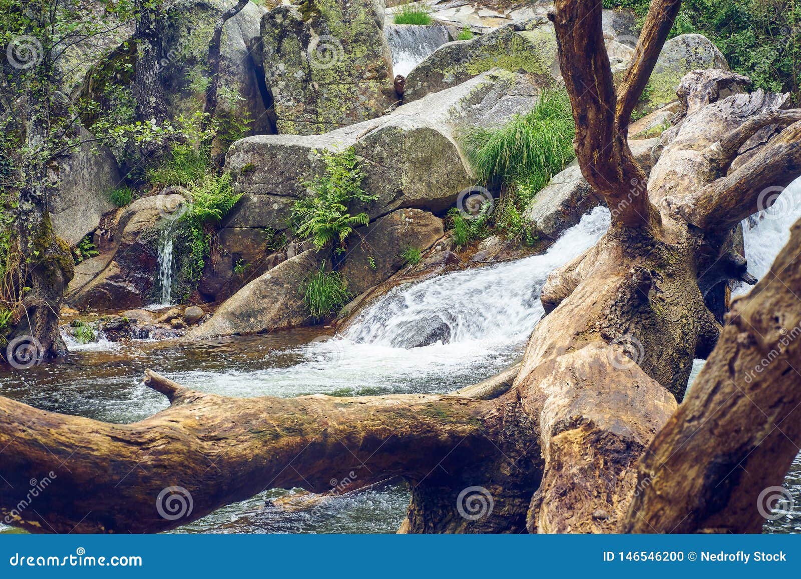River Landscape with Waterfall and a Fallen Tree Trunk Inside the Water ...