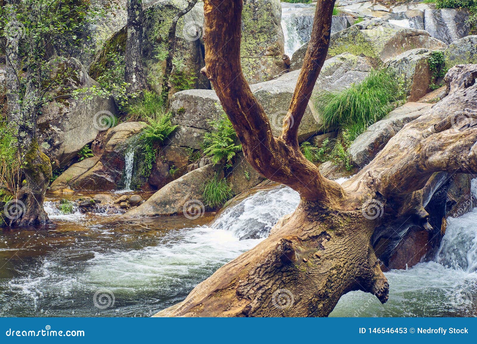 River Landscape with Waterfall and a Fallen Tree Trunk Inside the Water ...