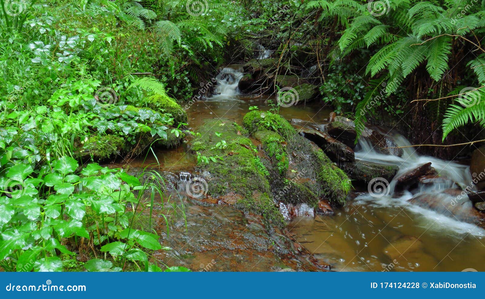 River with Large Stones and Waterfalls in the Forest Stock Photo ...