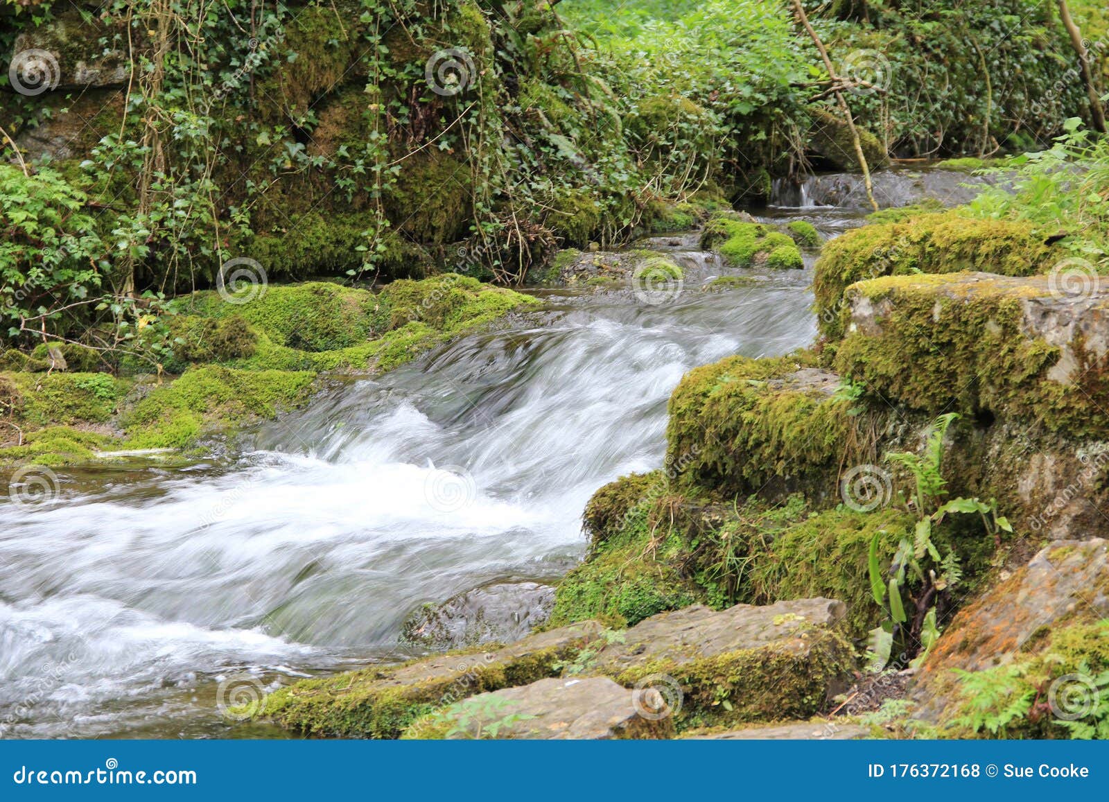The River Lathkill, Derbyshire, UK Stock Photo - Image of travel ...