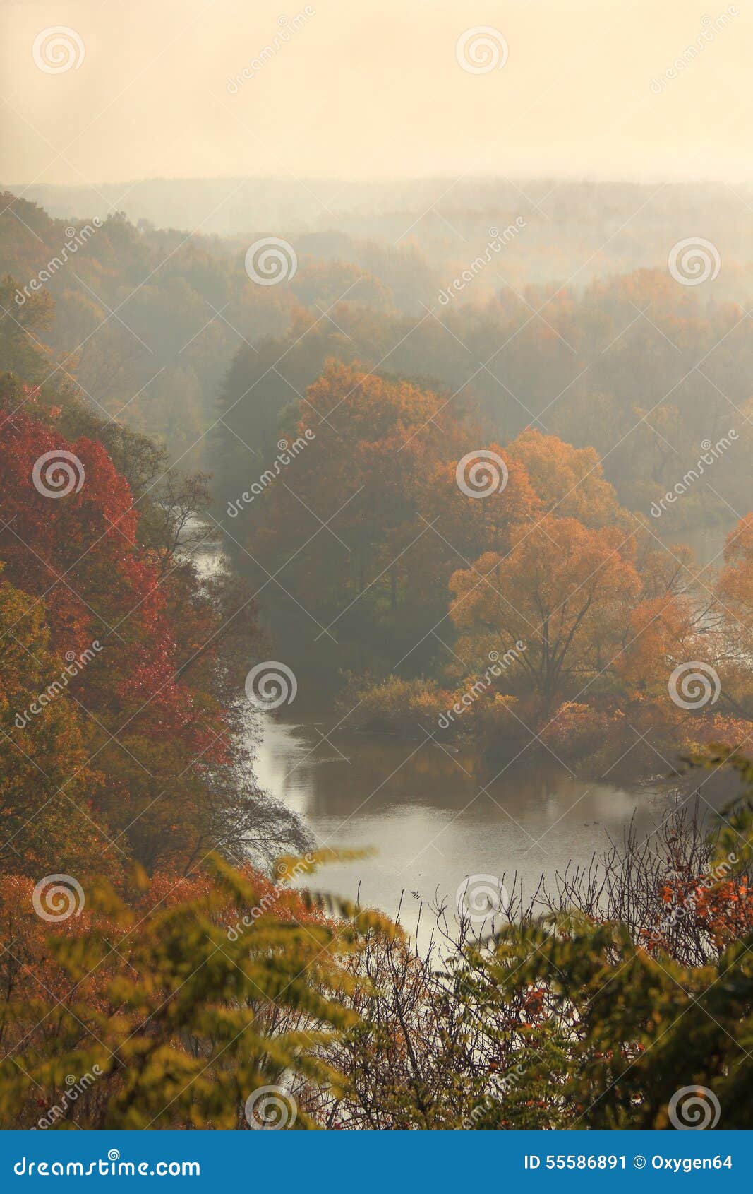 River Lausitzer Neisse stock image. Image of orange, foggy - 55586891