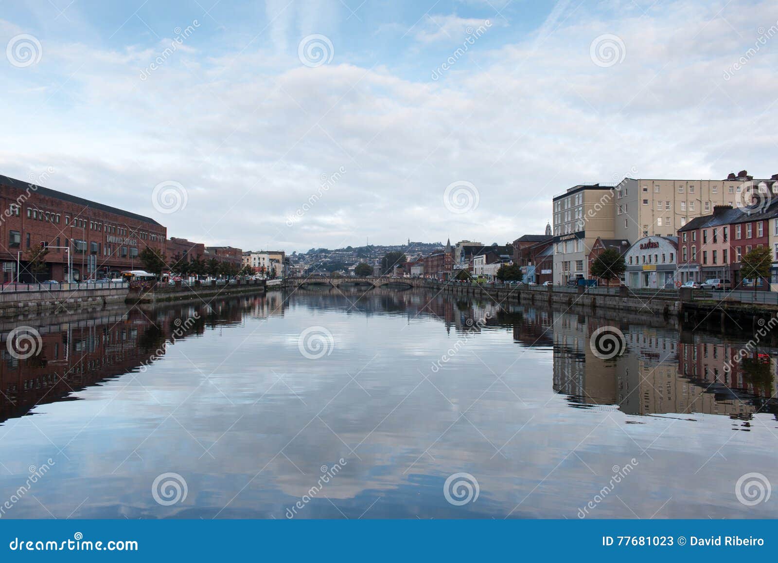 River Lee in Cork editorial stock photo. Image of nature - 77681023