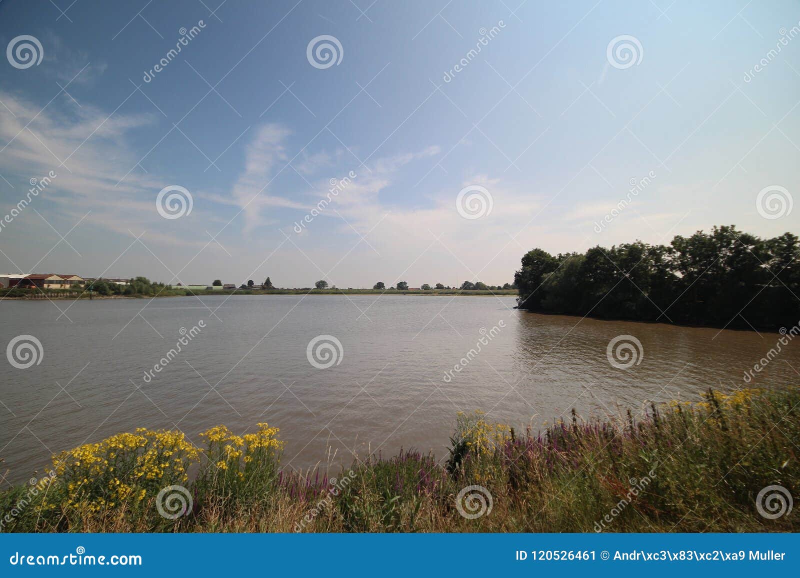 River Lek, Which is a Lateral of River Rhine, with Dykes in the Sun in ...