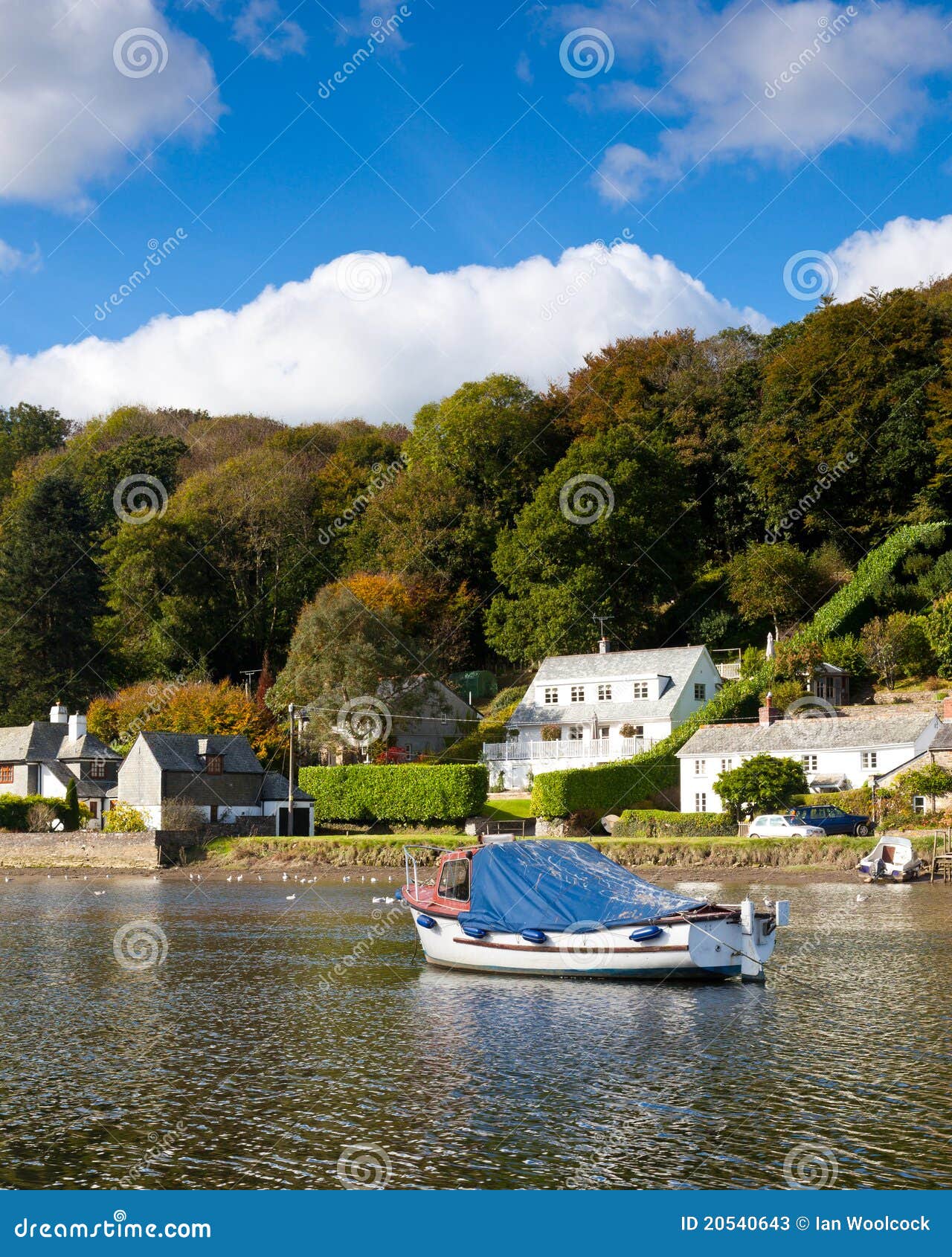 River Lerryn stock image. Image of boat, england, travel - 20540643