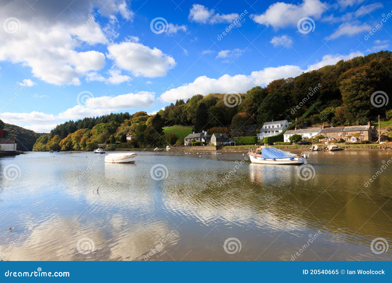 River Lerryn stock image. Image of river, england, reflections - 20540665