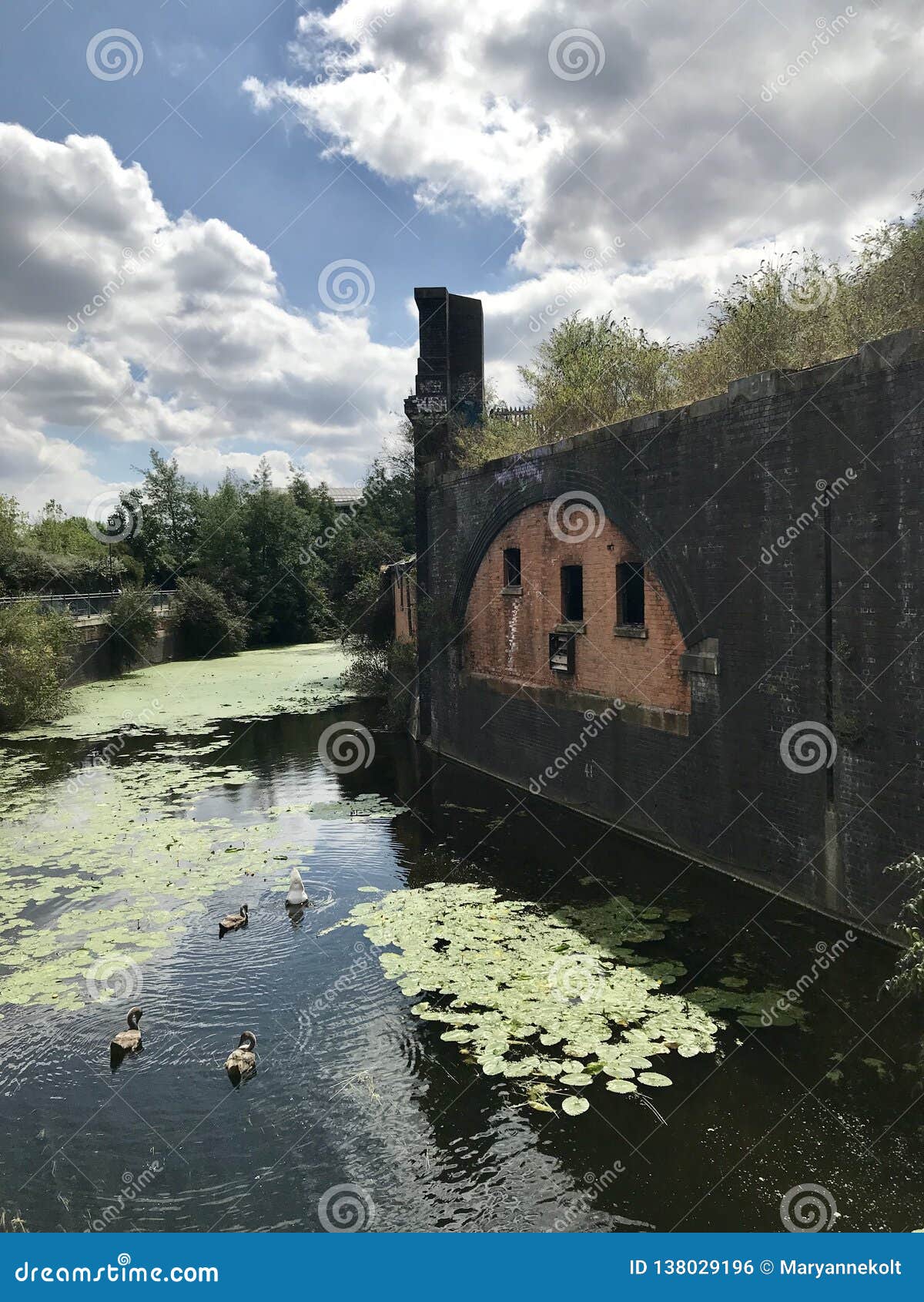 The River in Lester stock photo. Image of flowers, abbey - 138029196