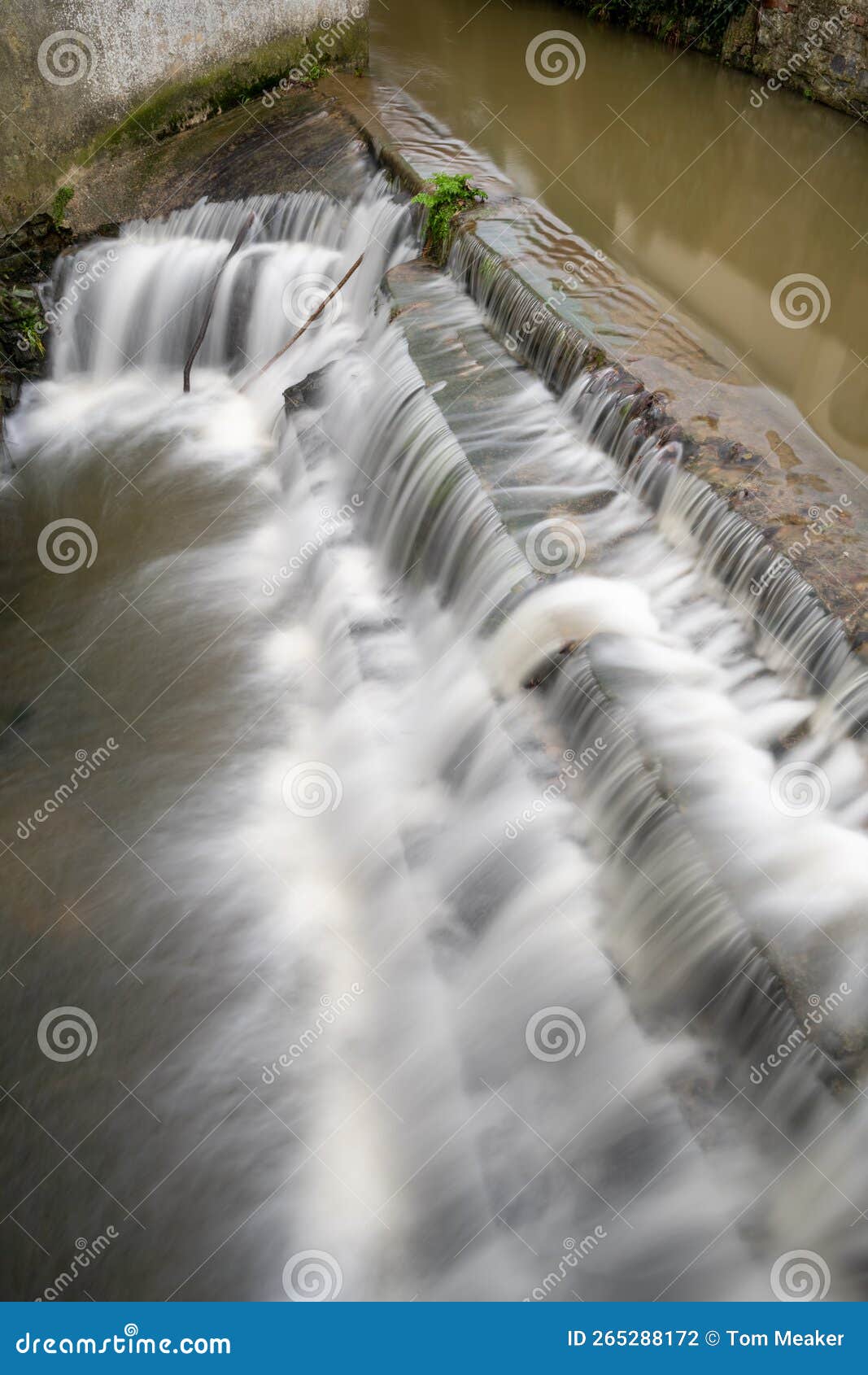 River Lim walkway stock photo. Image of idyllic, lyme - 265288172
