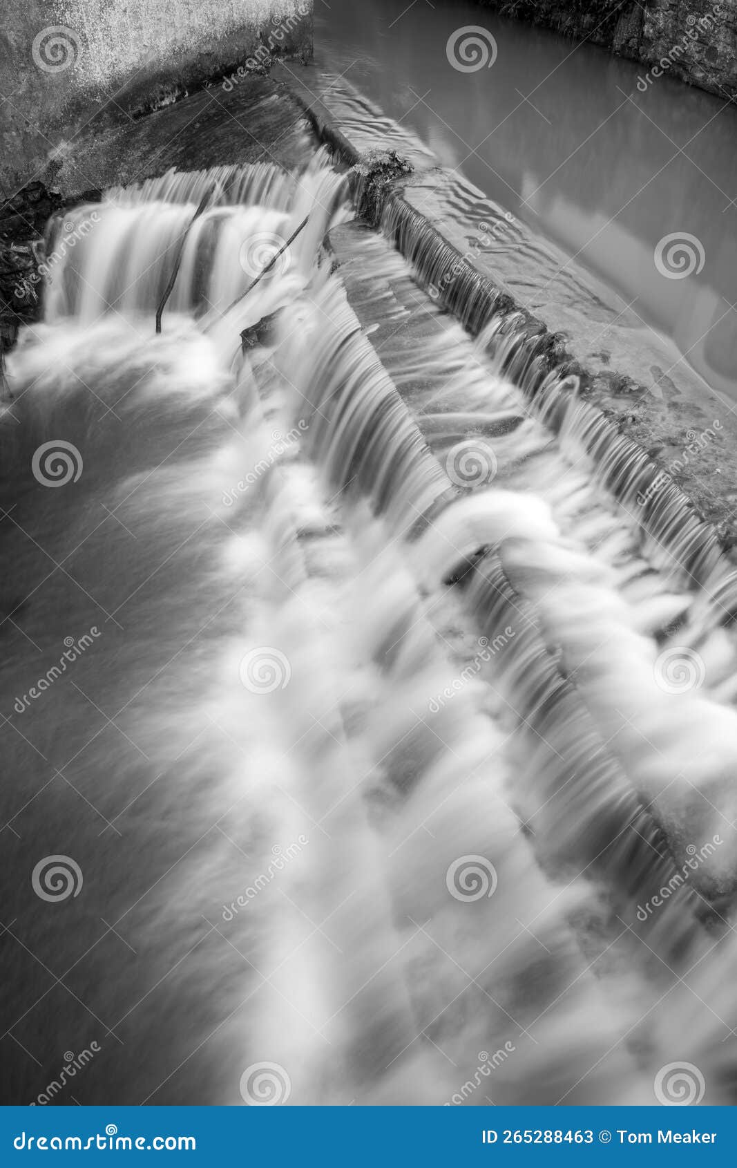 River Lim walkway stock image. Image of lyme, europe - 265288463