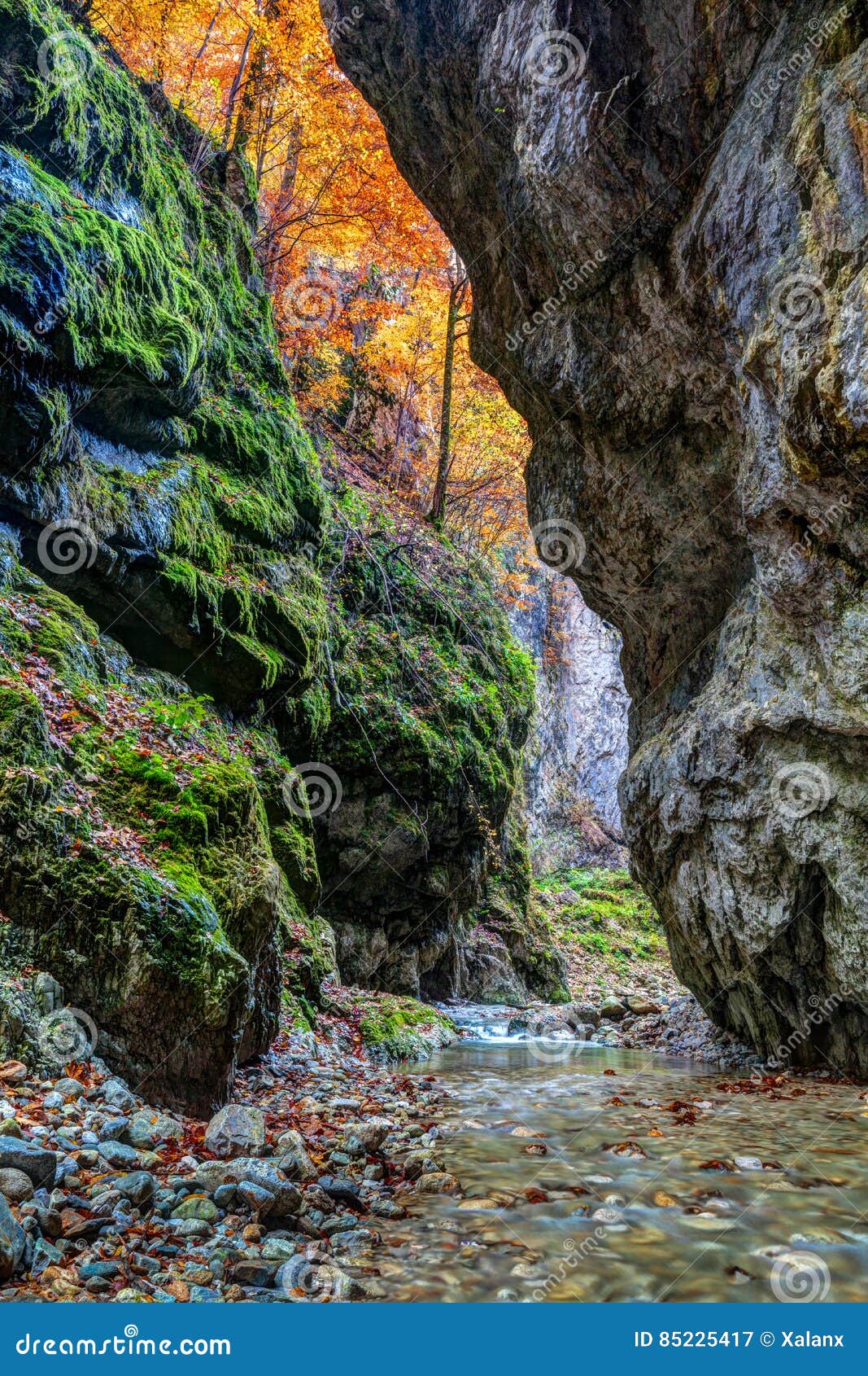 River in limestone canyon stock image. Image of beautiful - 85225417