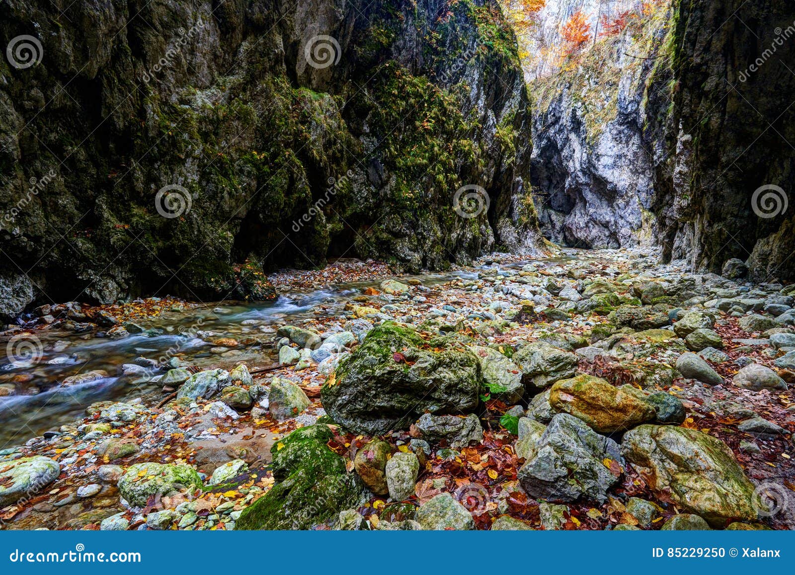 River in limestone canyon stock photo. Image of canyon - 85229250