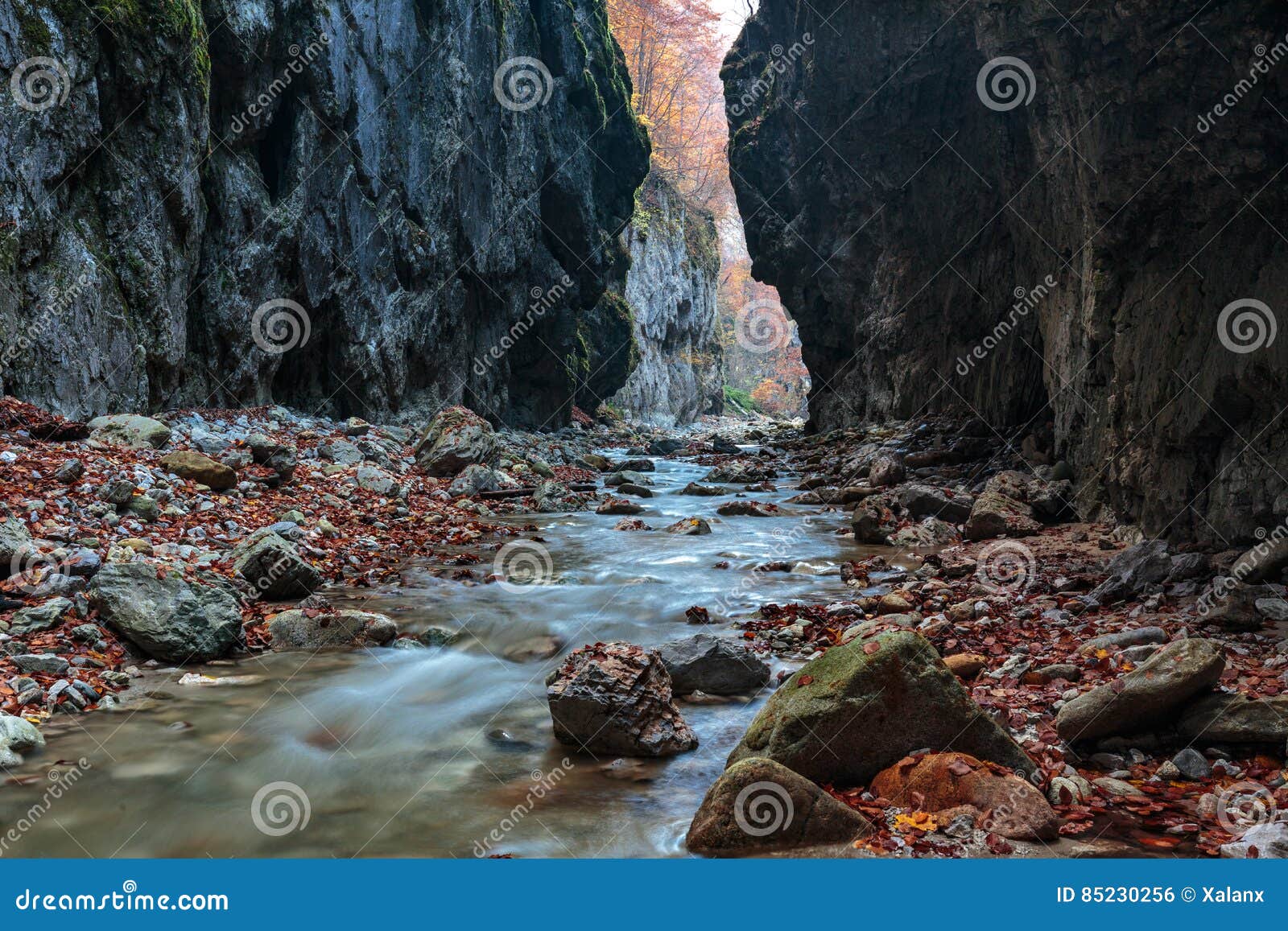 River in limestone canyon stock photo. Image of landscape - 85230256