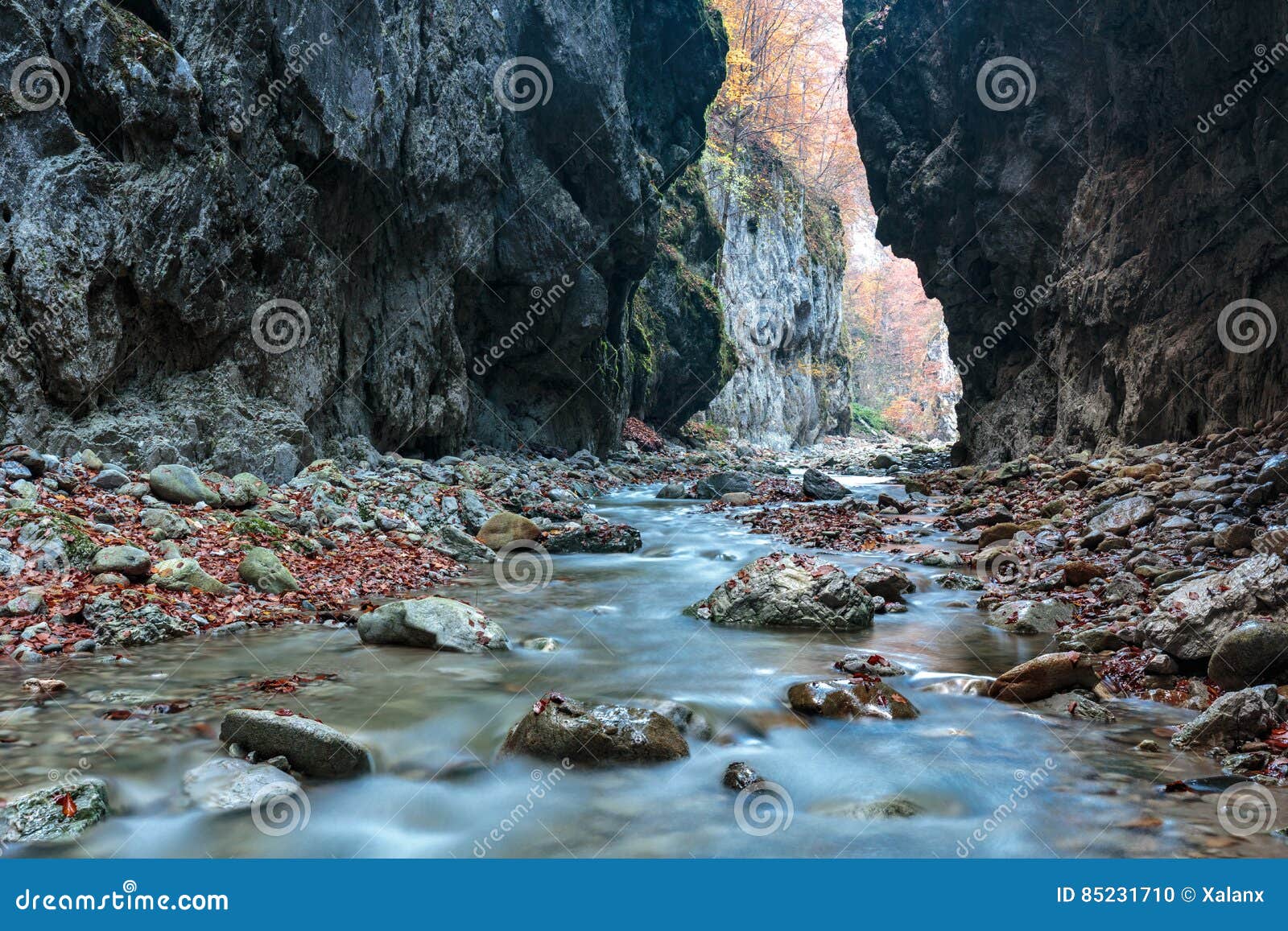 River in limestone canyon stock photo. Image of rocks - 85231710