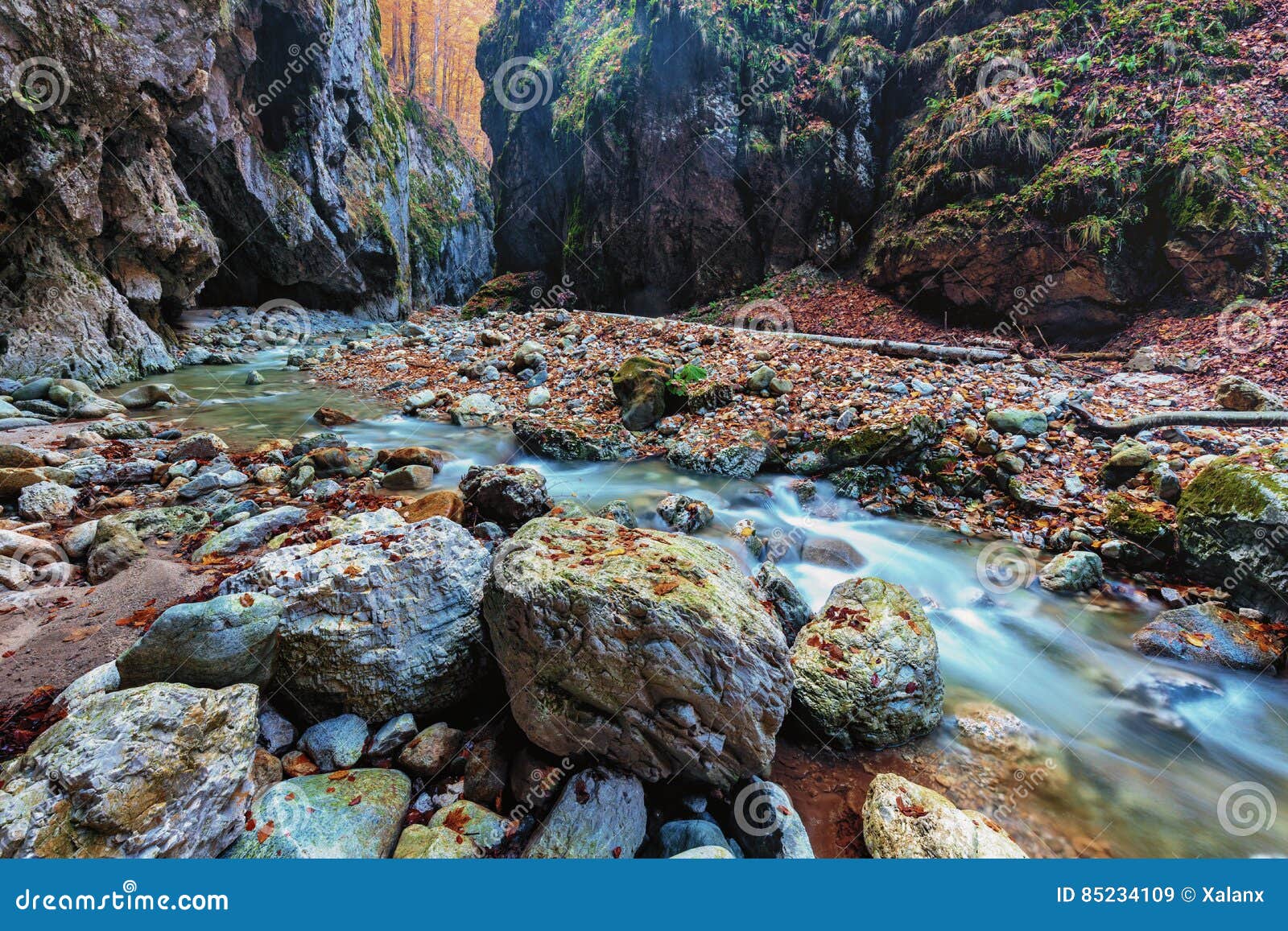 River in limestone canyon stock image. Image of landscape - 85234109