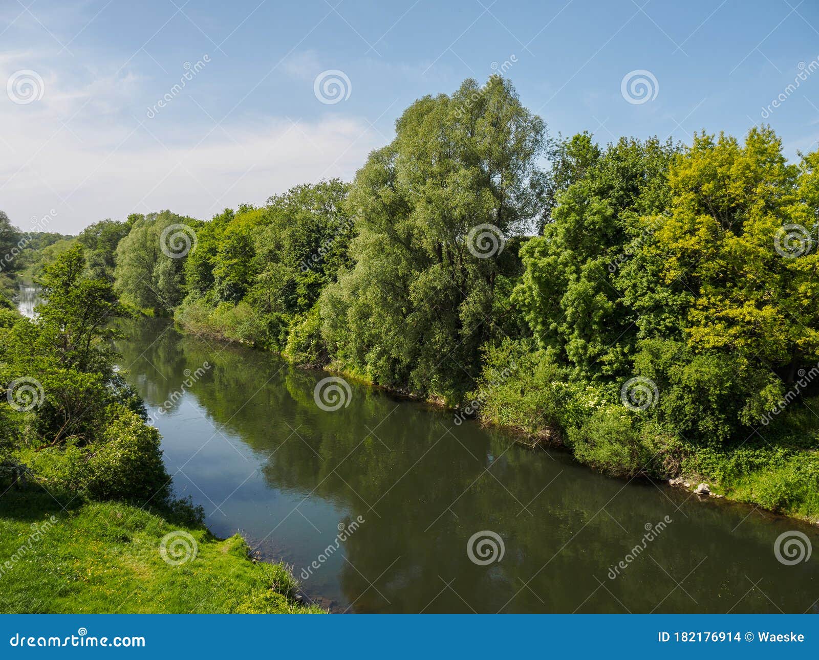 The river lippe in germany stock photo. Image of tree - 182176914