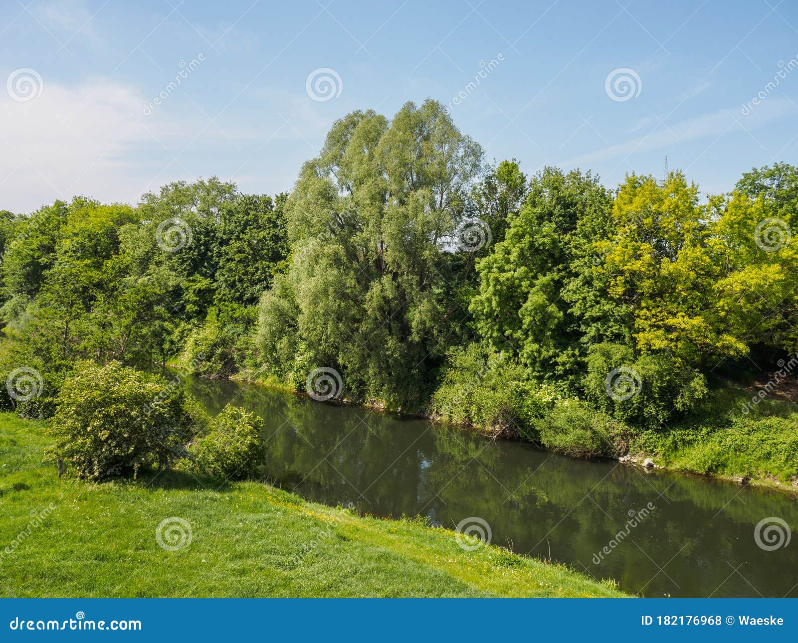 The river lippe in germany stock photo. Image of tree - 182176968