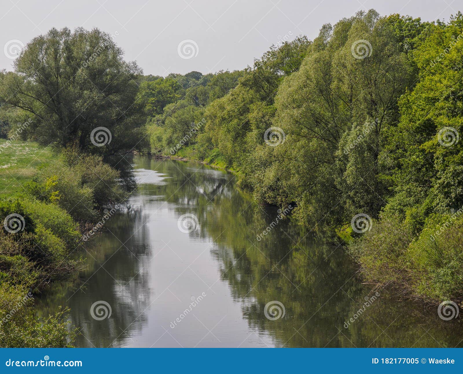The river lippe in germany stock image. Image of forest - 182177005