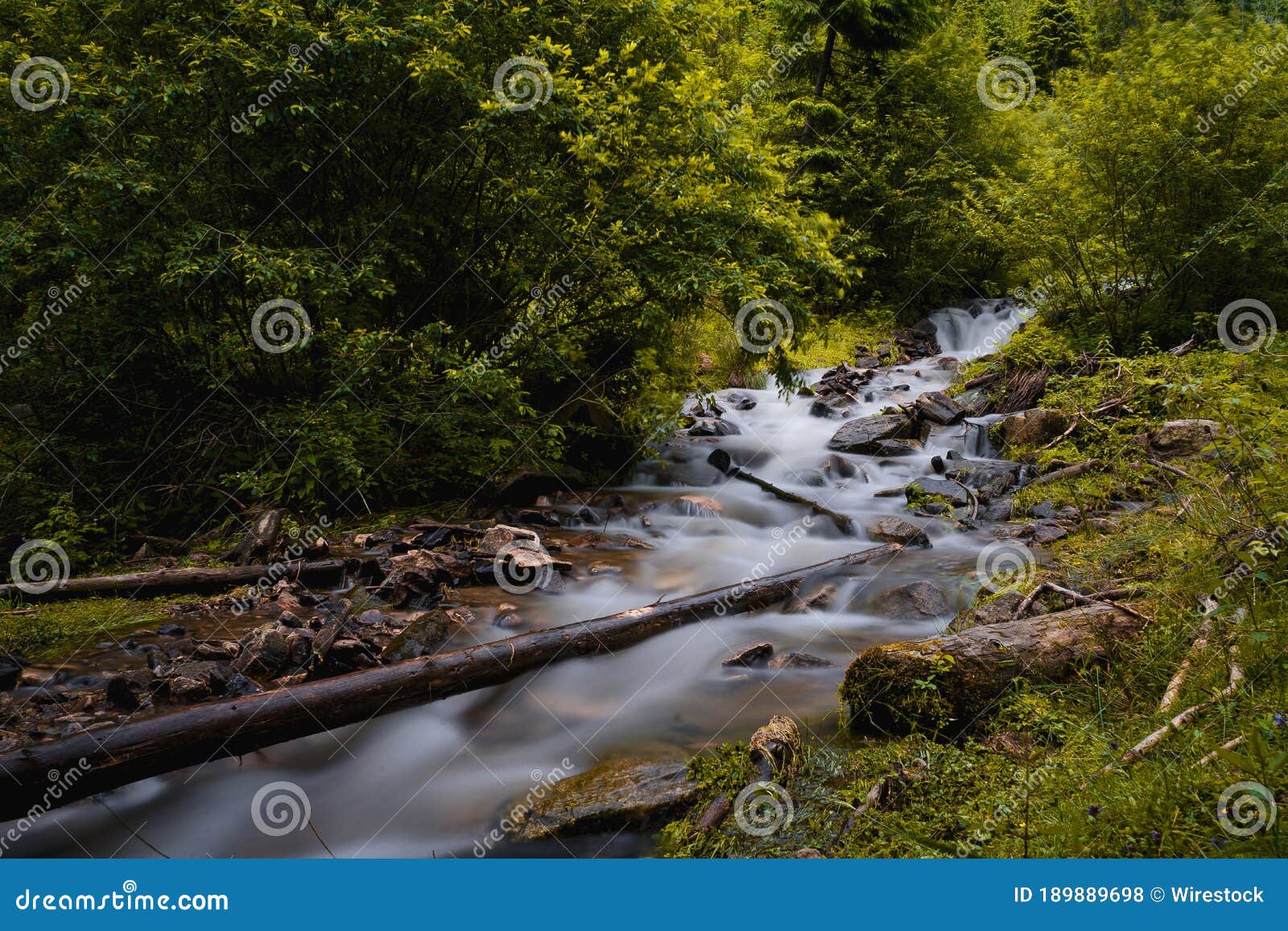 River with Long Exposure Surrounded by Rocks and Greenery in a Forest ...