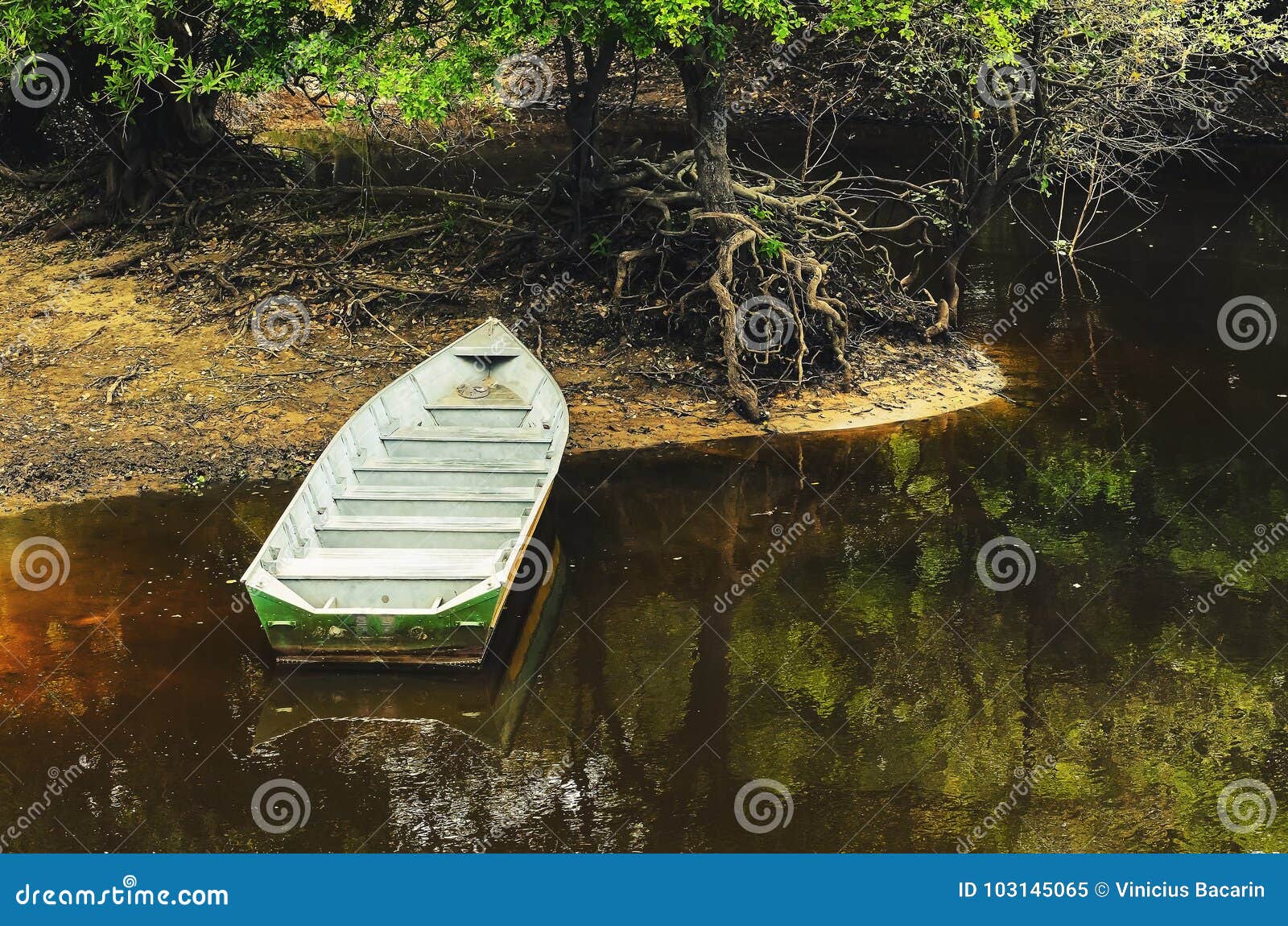 River with Low Water Exposing the Roots of a Tree and a Boat on Stock ...