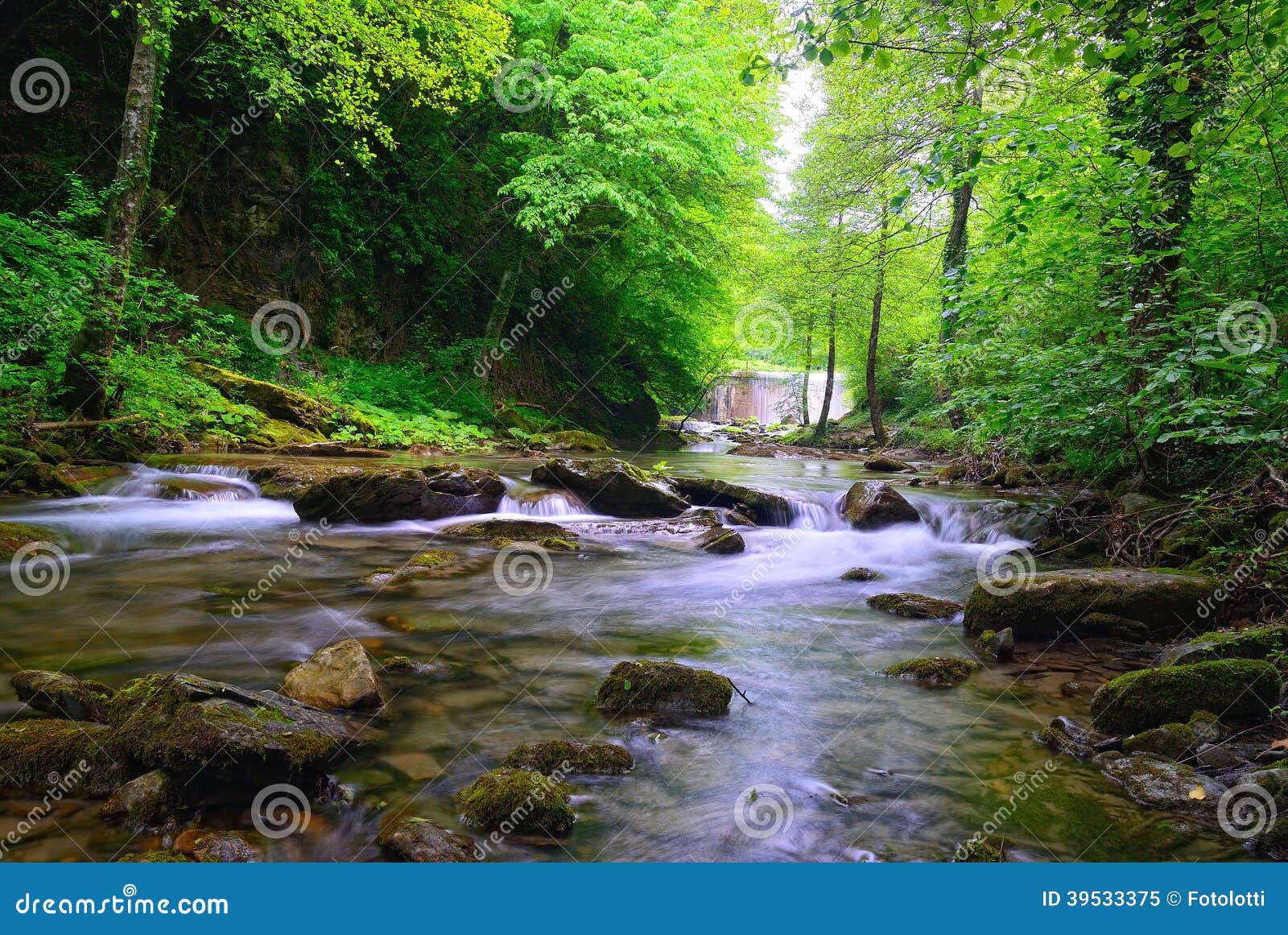 River with low water stock image. Image of musk, autumn - 39533375