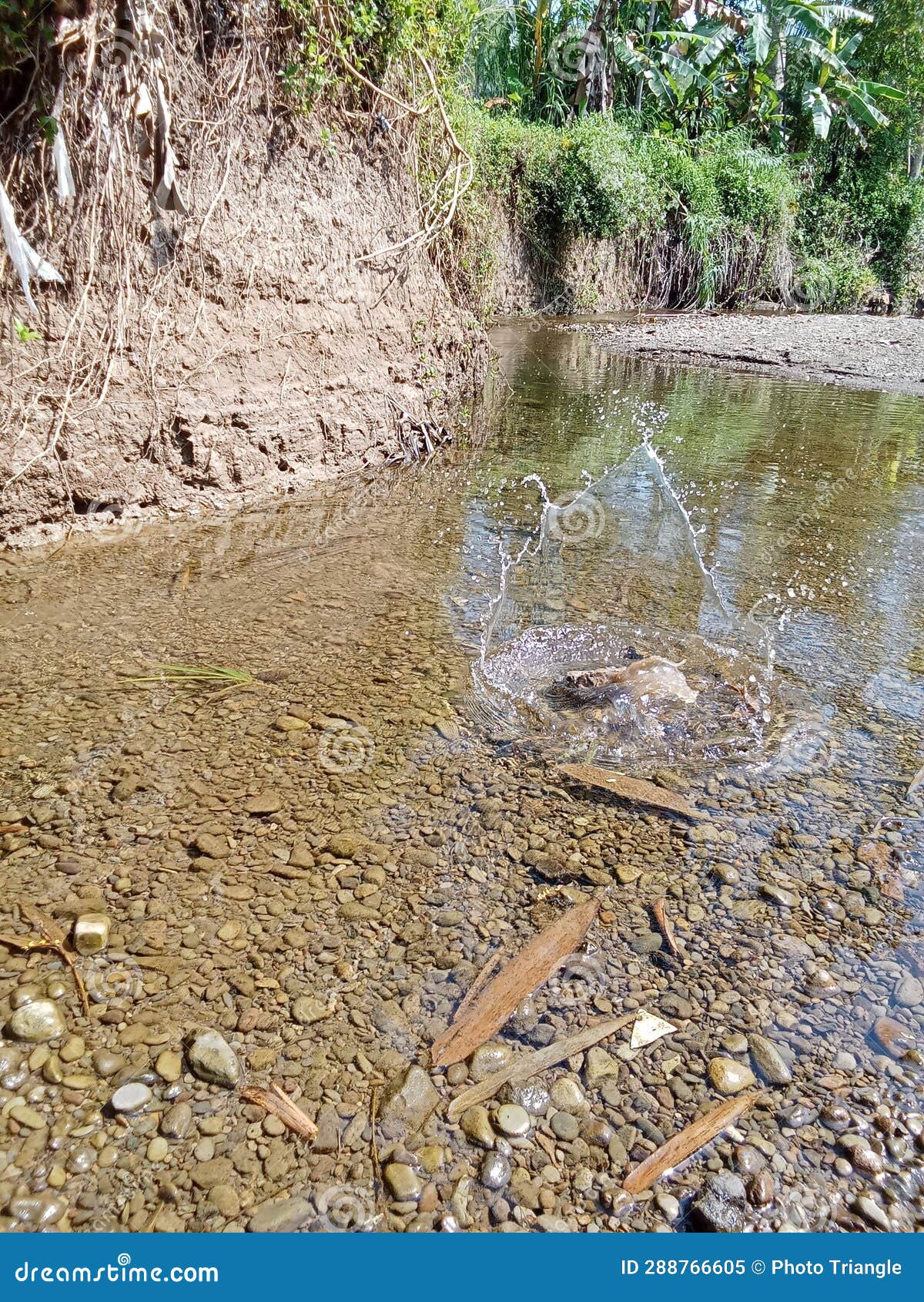 River with Low Water and Splashes Stock Image - Image of scenery, park ...