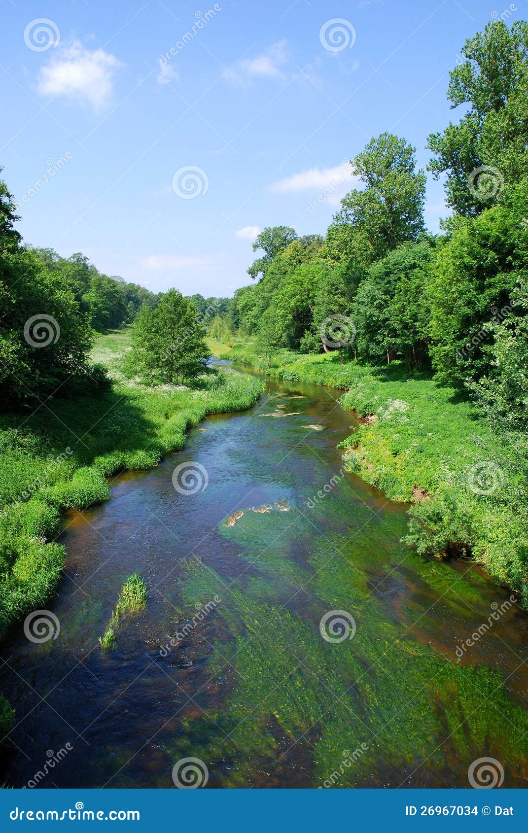 River with lush greenery stock photo. Image of landscape - 26967034