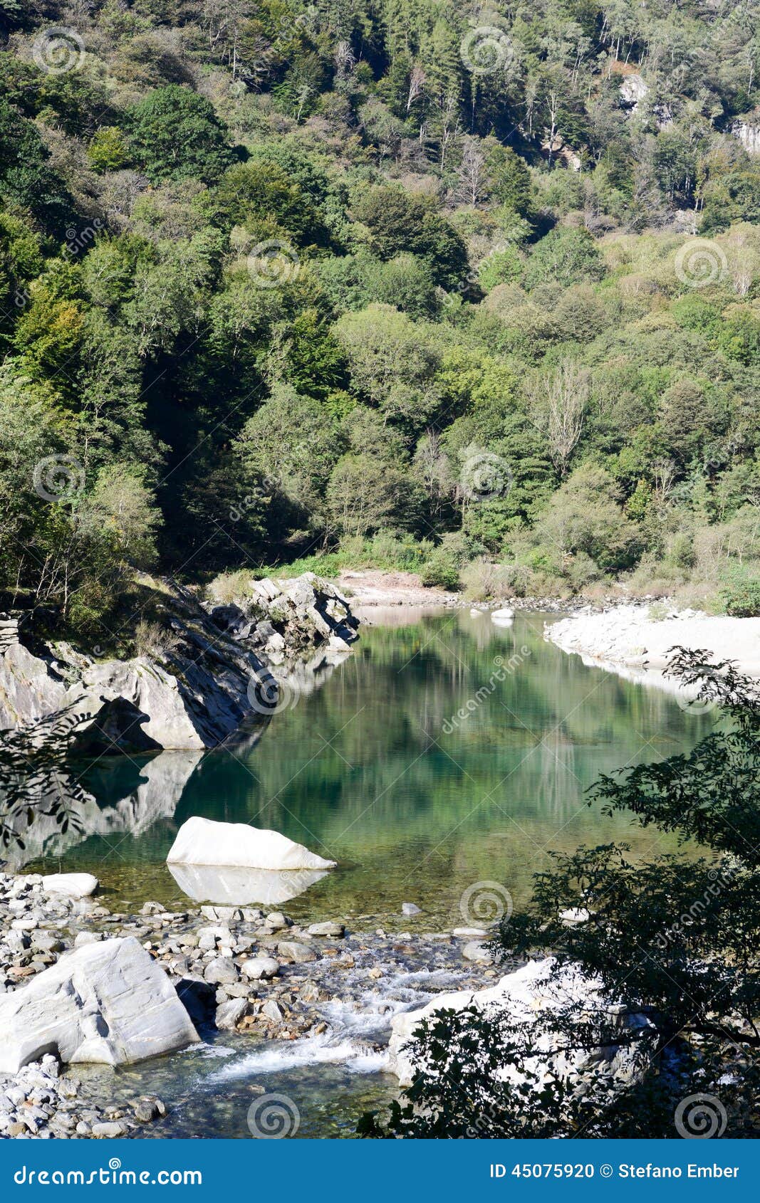 River Maggia on Maggia Valley Stock Photo - Image of forest, stones ...