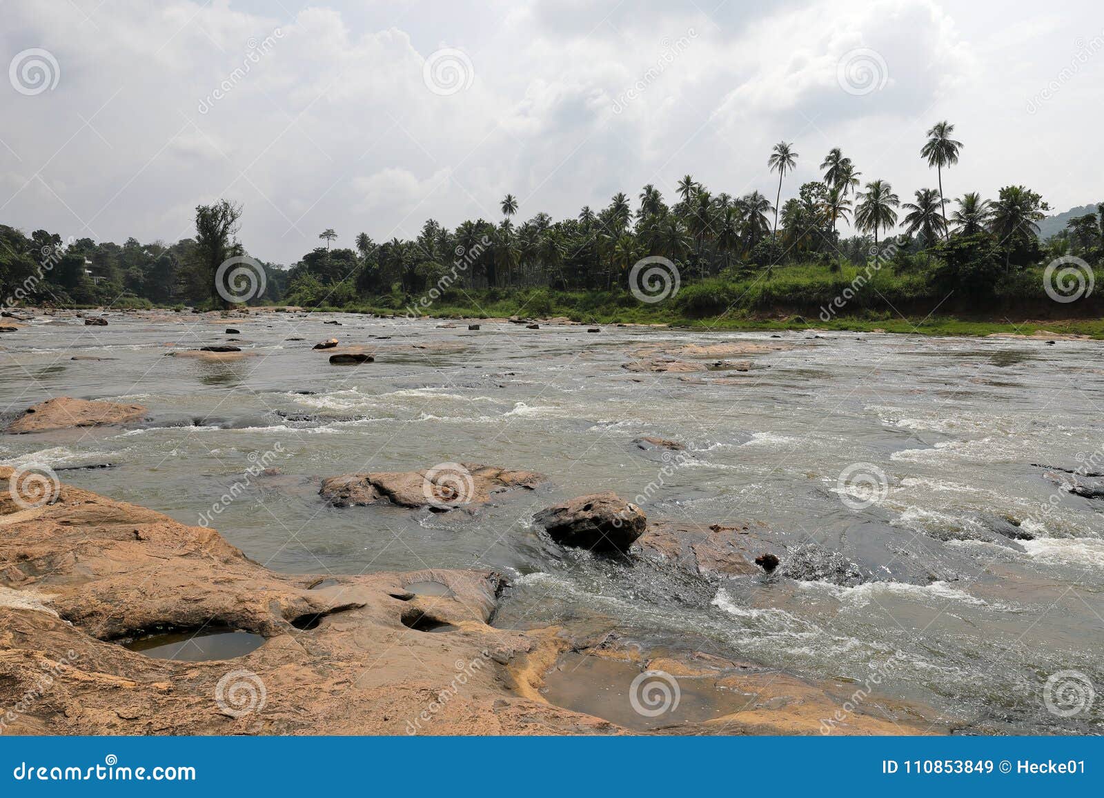 The River Maha Oya in Sri Lanka Stock Image - Image of ceylon, nature ...